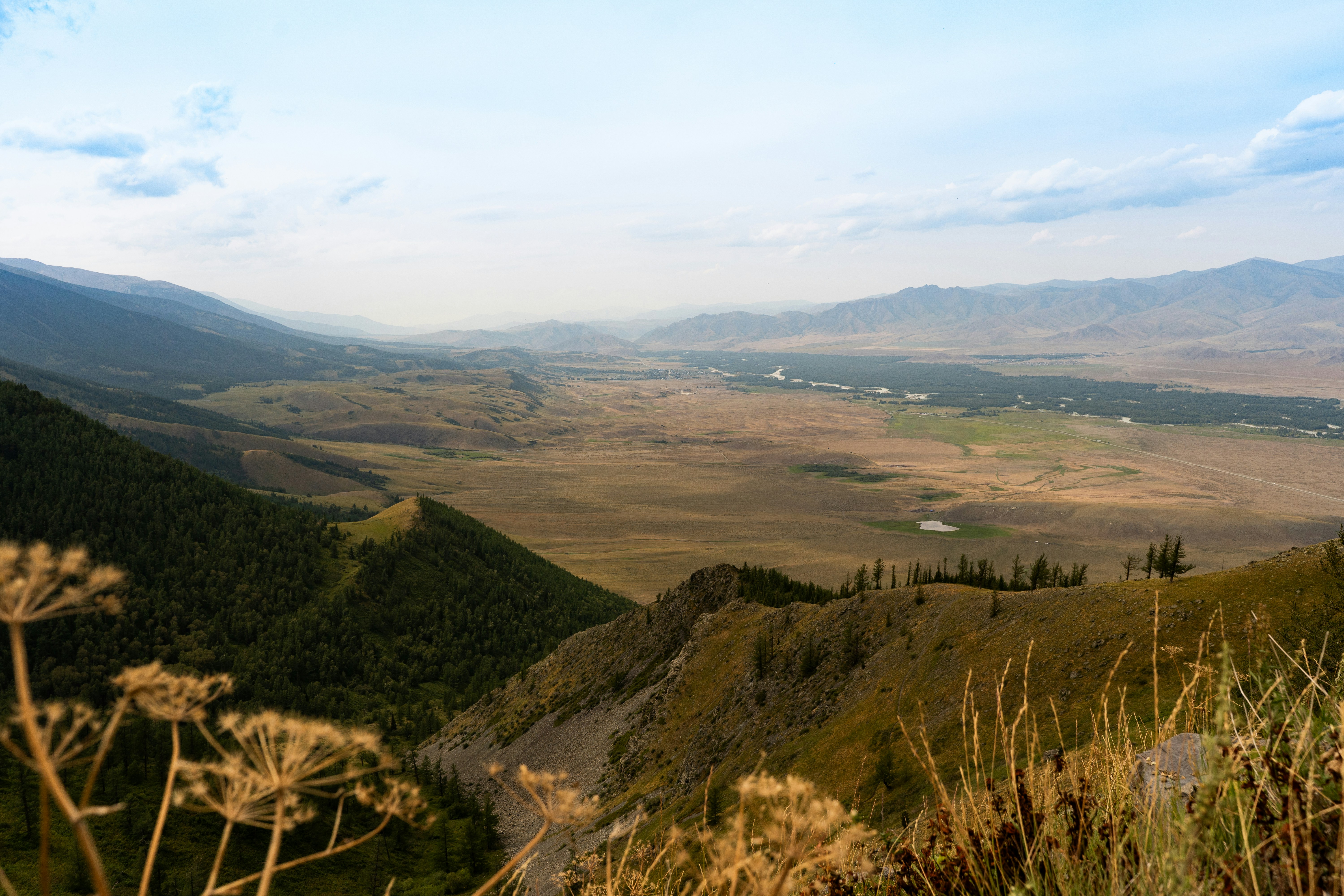 Valley Gaze from the Ridge: Golden Grass and Distant River
