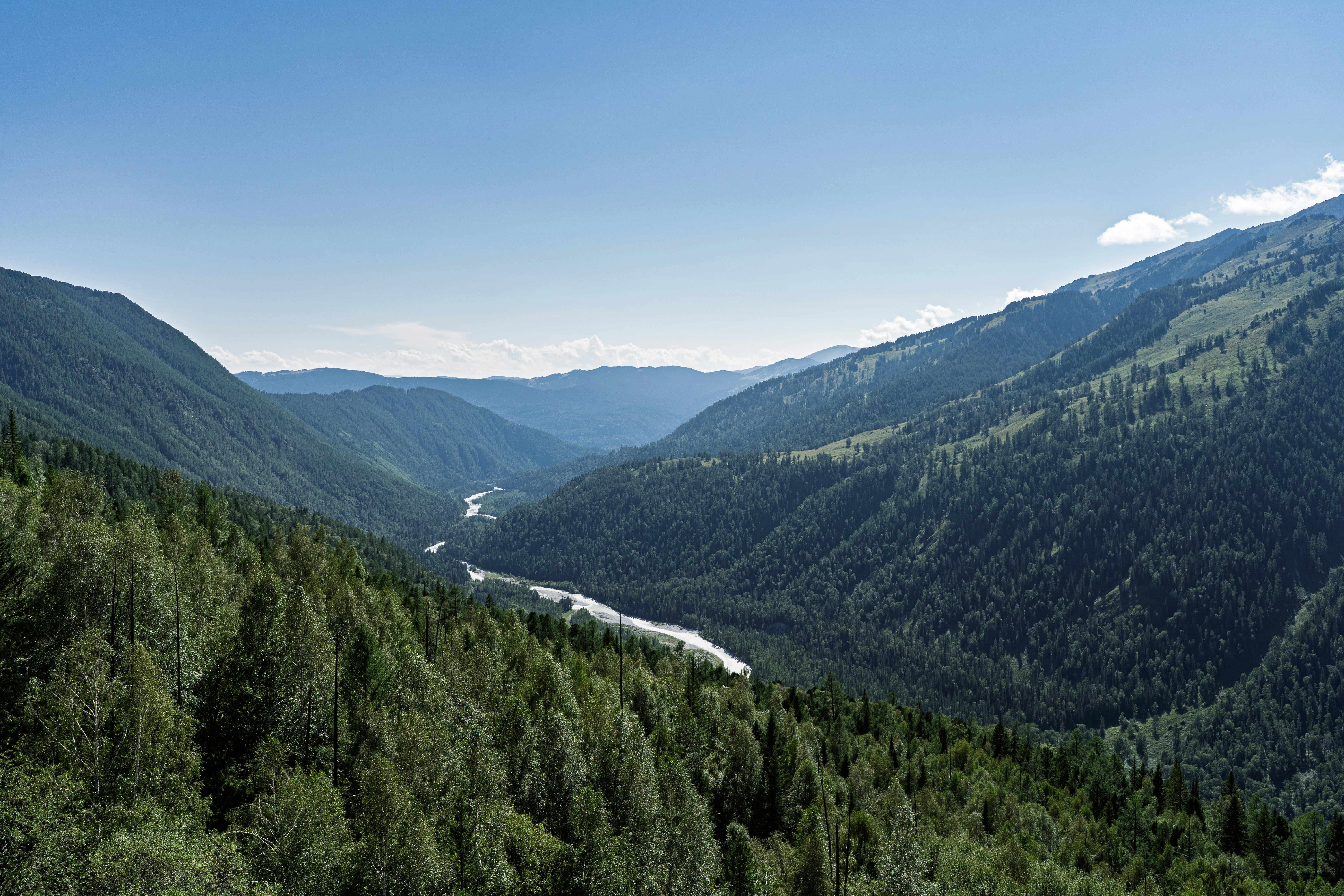 Valley Bend: A Quiet River Winding Through Mountain Pines