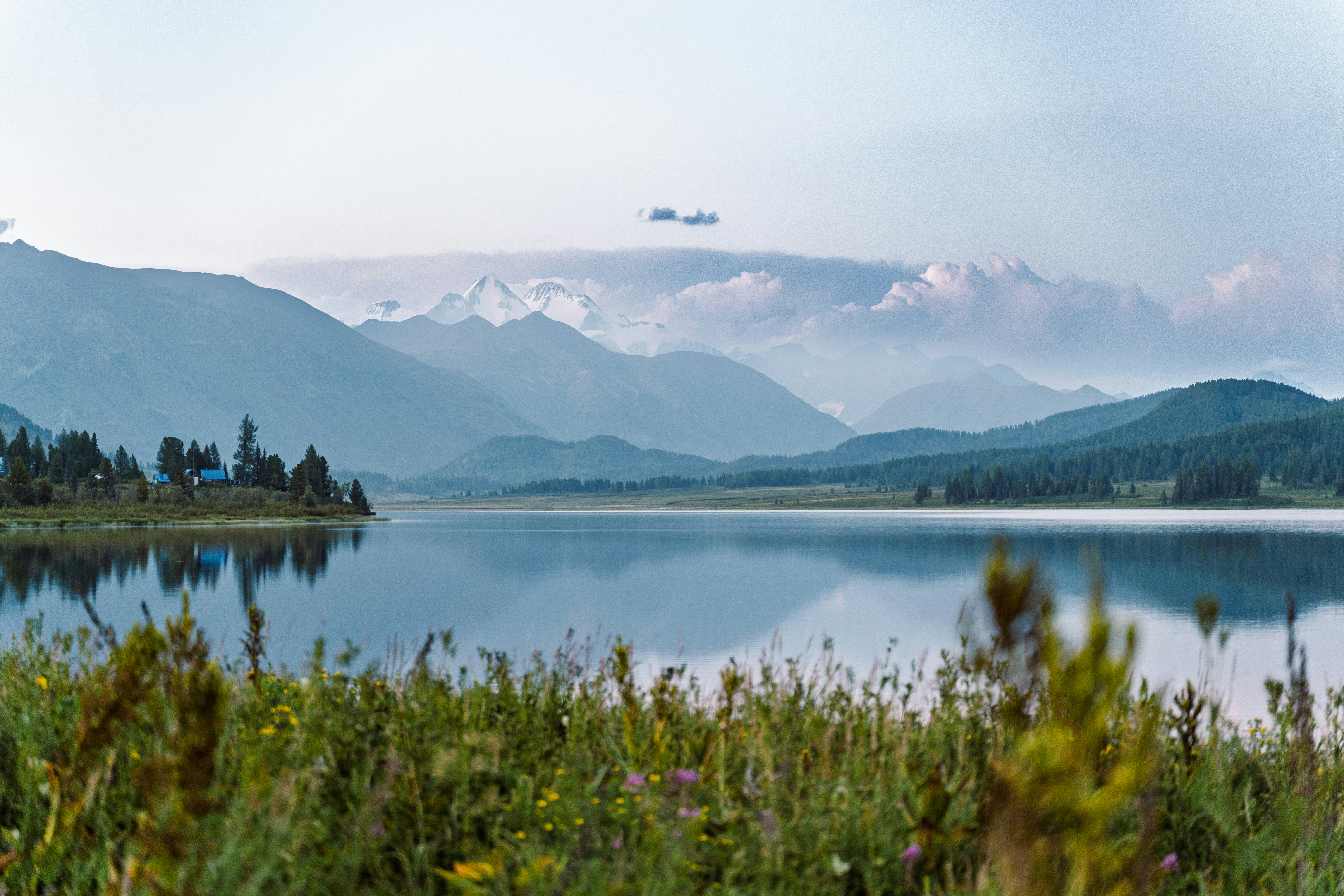 Serene Lake Echoes: Snow-capped Peaks Matter Through Summer Wildflowers