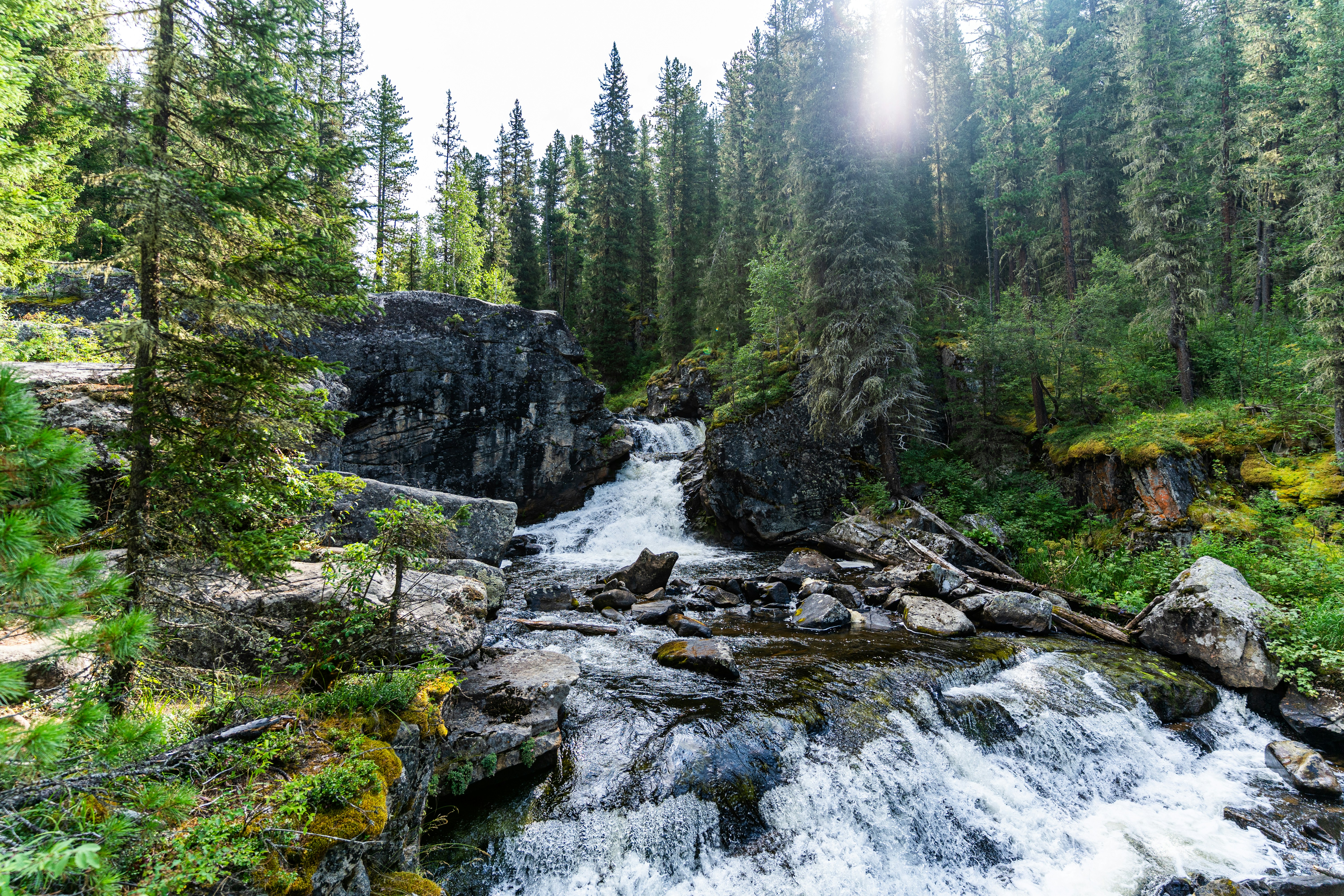 Mid‑Mountain Cascade: Sunlit Stream Through Pine Vale
