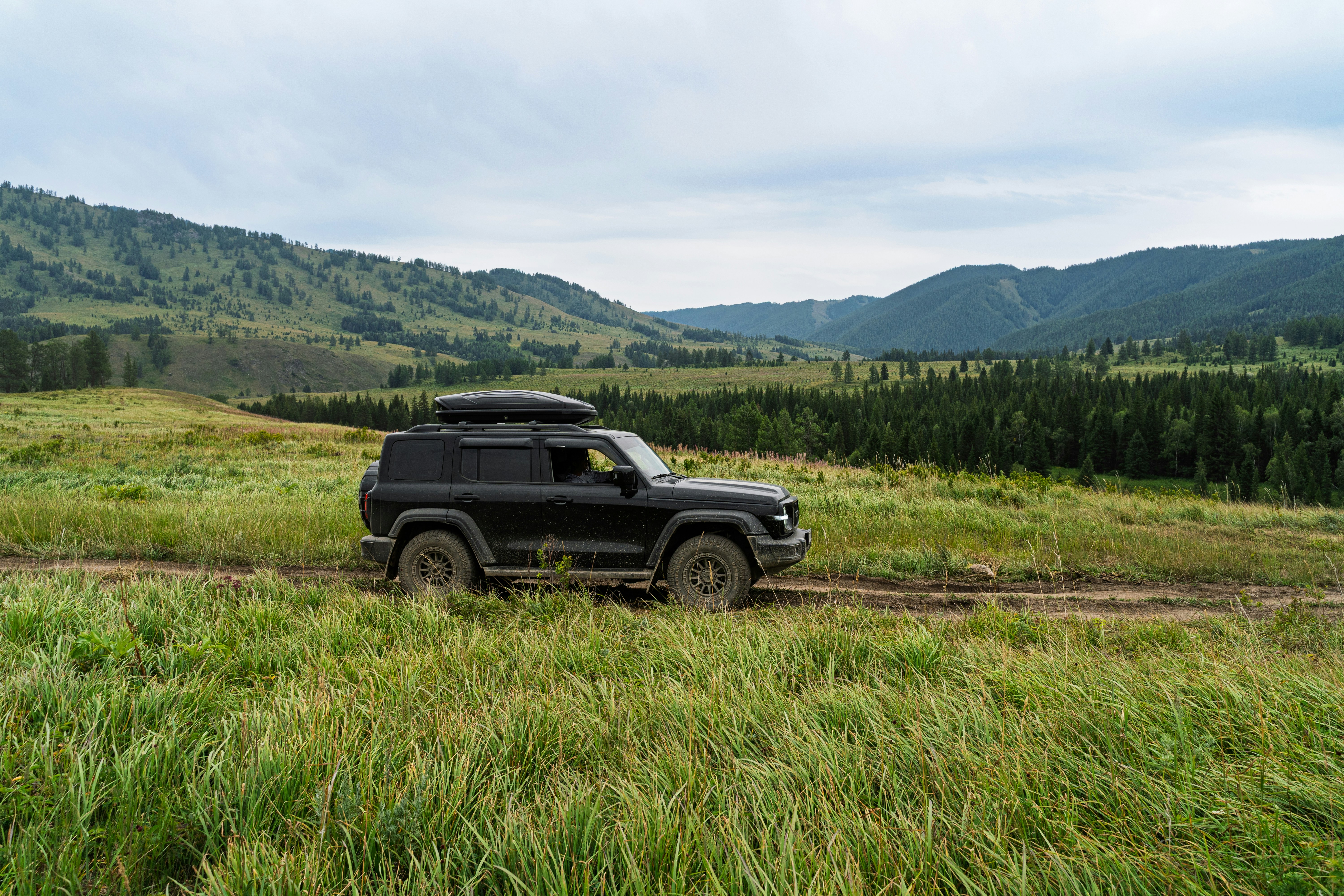 Black SUV Trekking the Tundra Between Rolling Pines