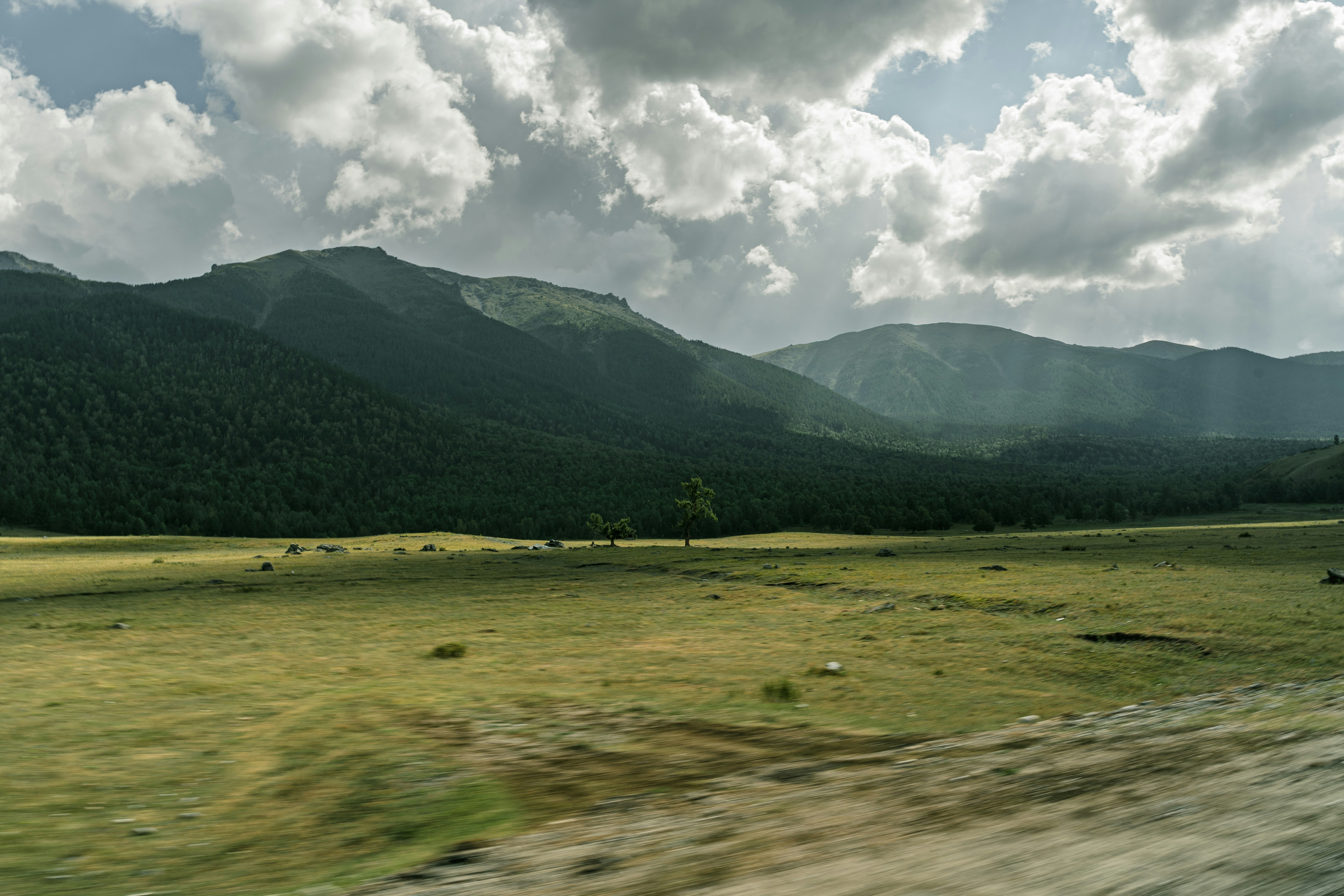 Wind-Swept Valley Under Cumulus Canopy