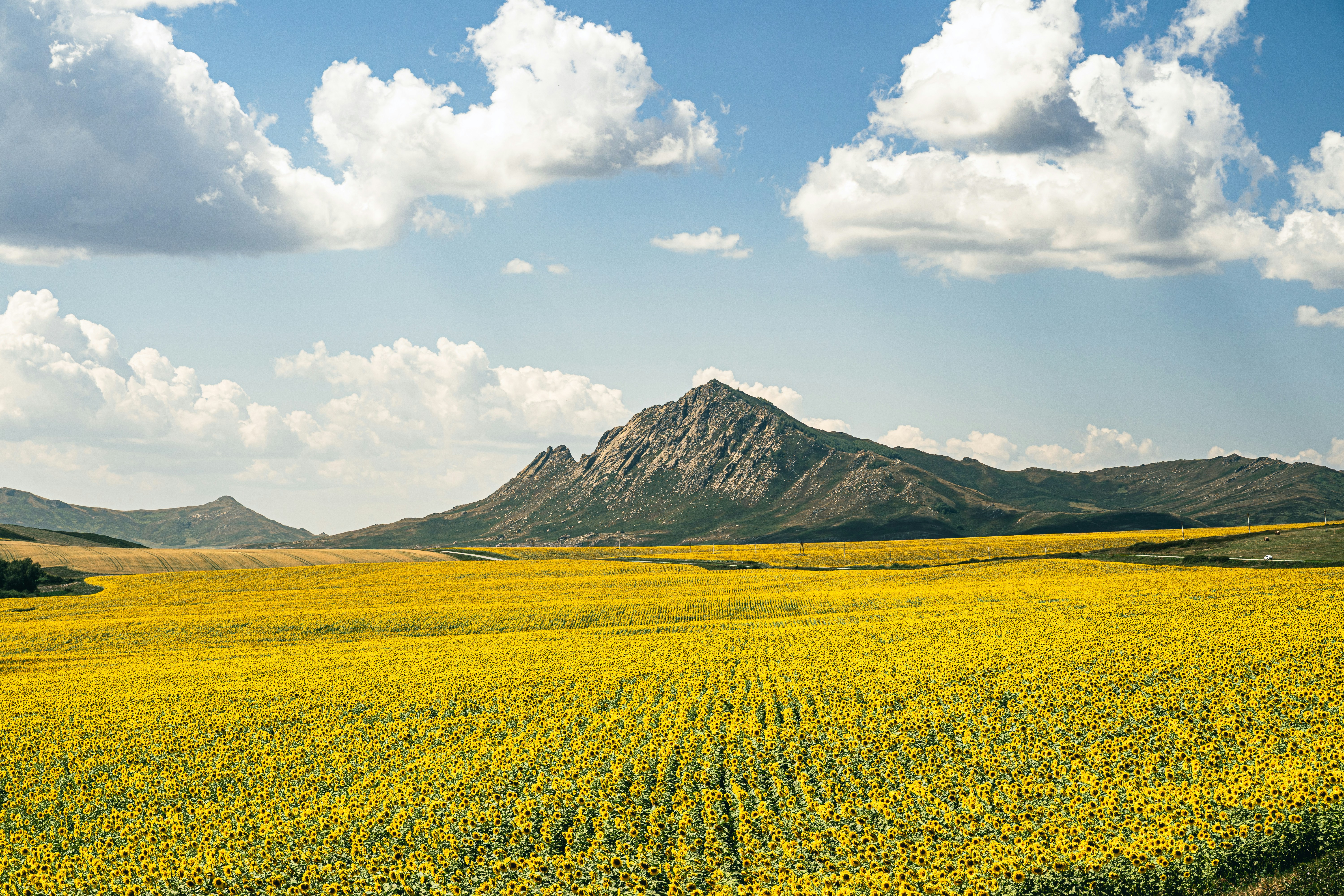 Golden Sea and Stone Peak