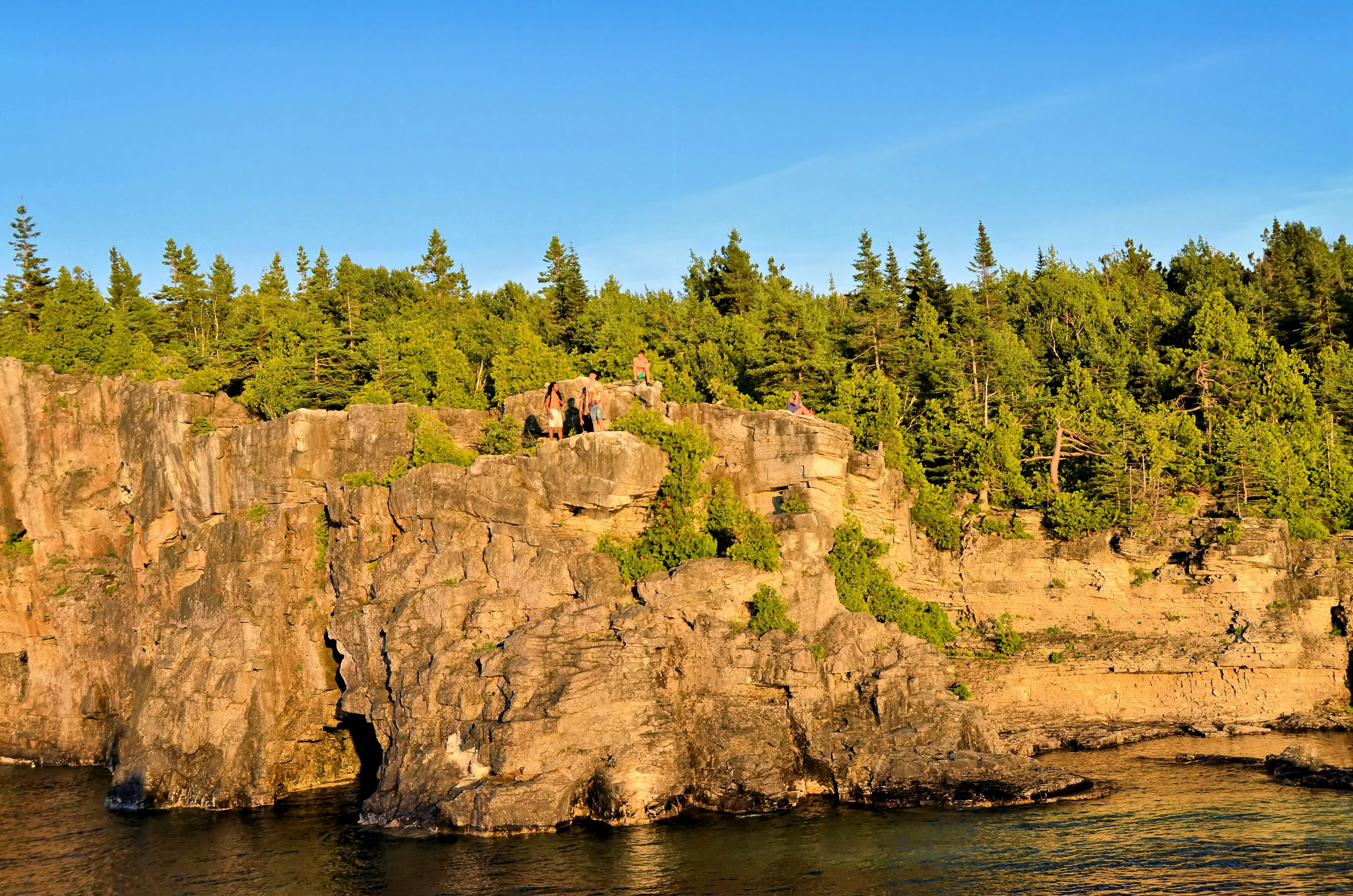 Sunlit Cliffside Coastline with Verdant Forest