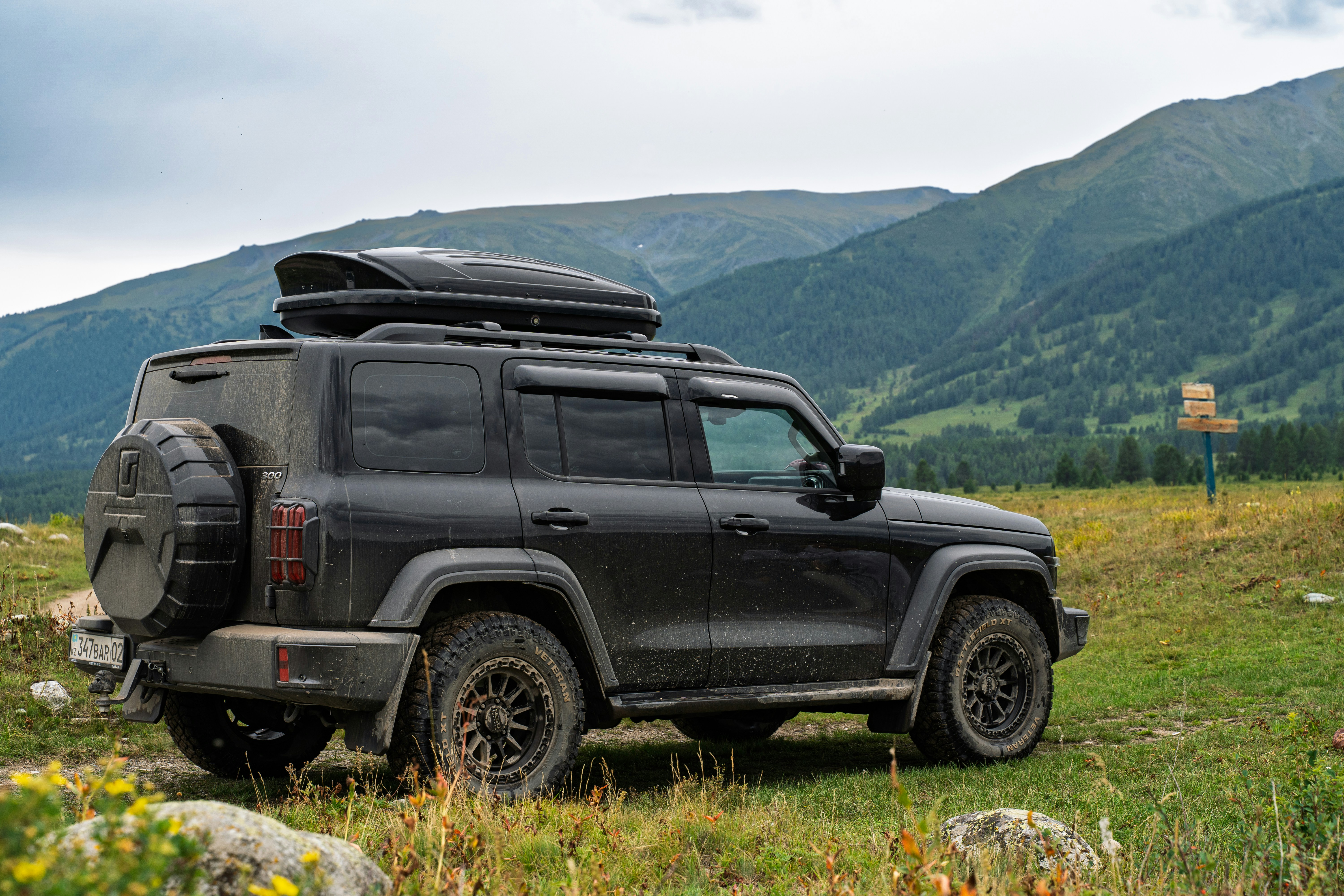 All-Terrain Silence: Midnight SUV in Alpine Meadow