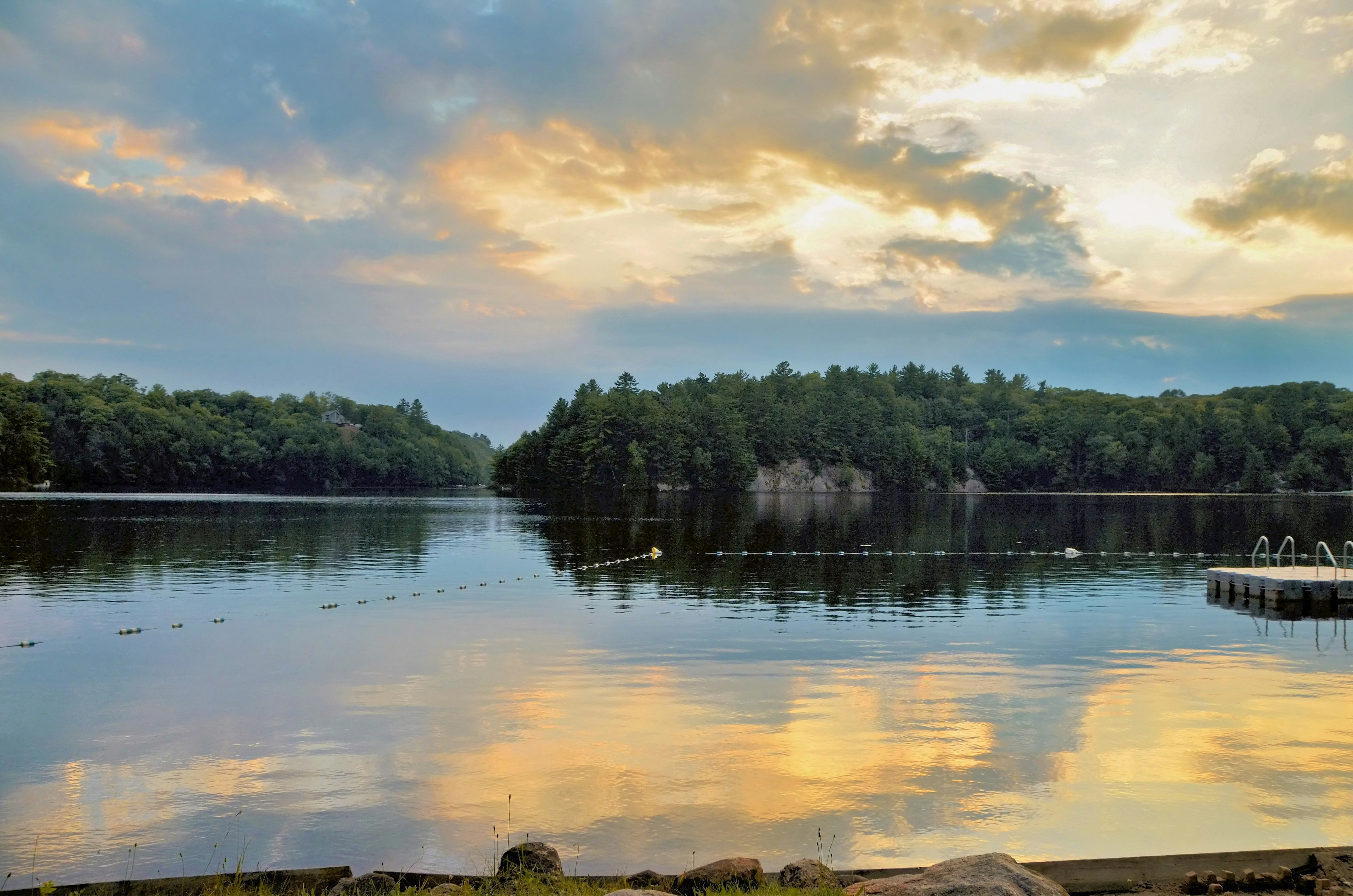 Sunlit Lake Mirage: Golden Reflections and Quiet Forest Edges
