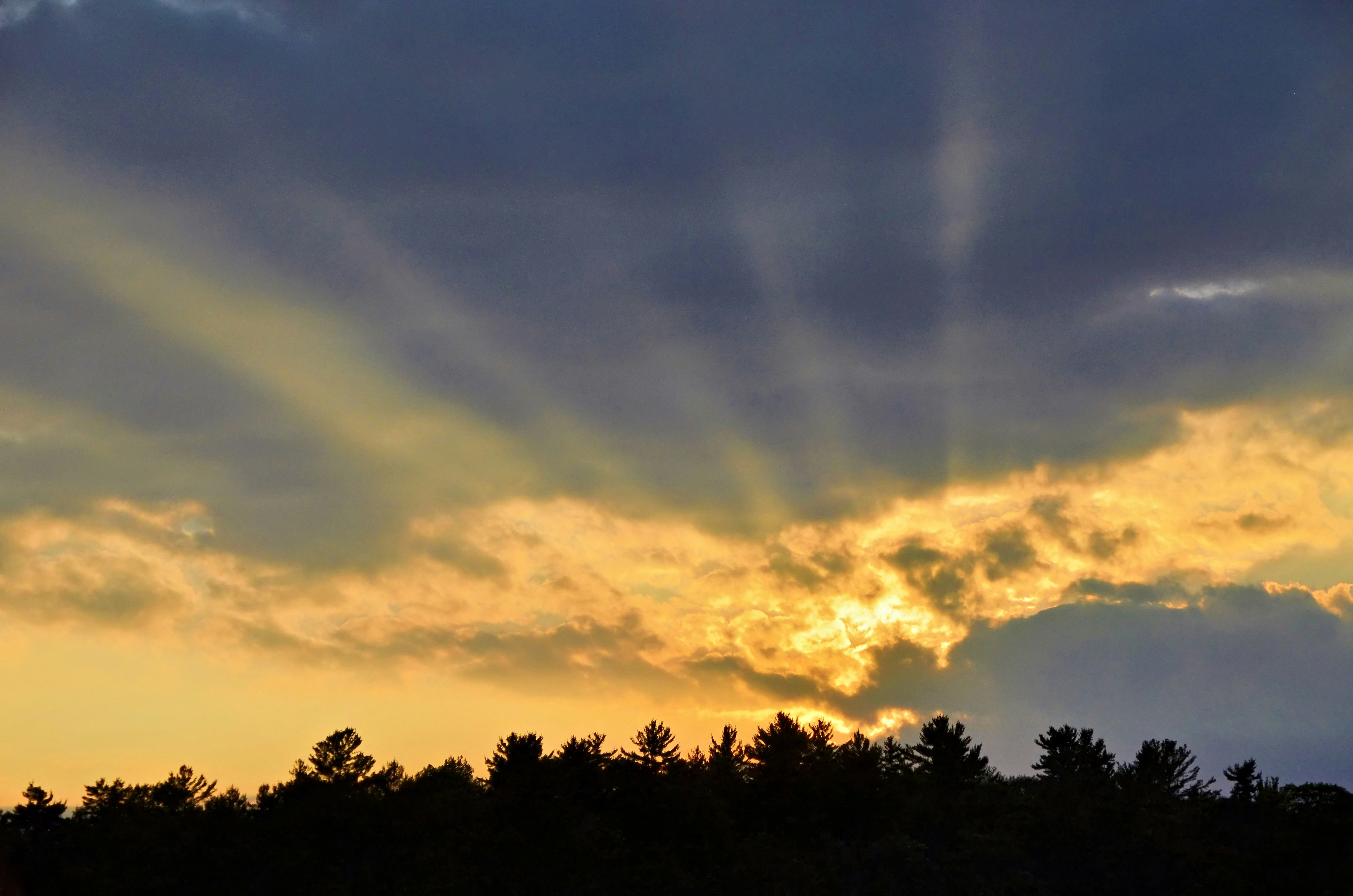 Sunrise Silhouette: Rays Opening Above a Quiet Horizon