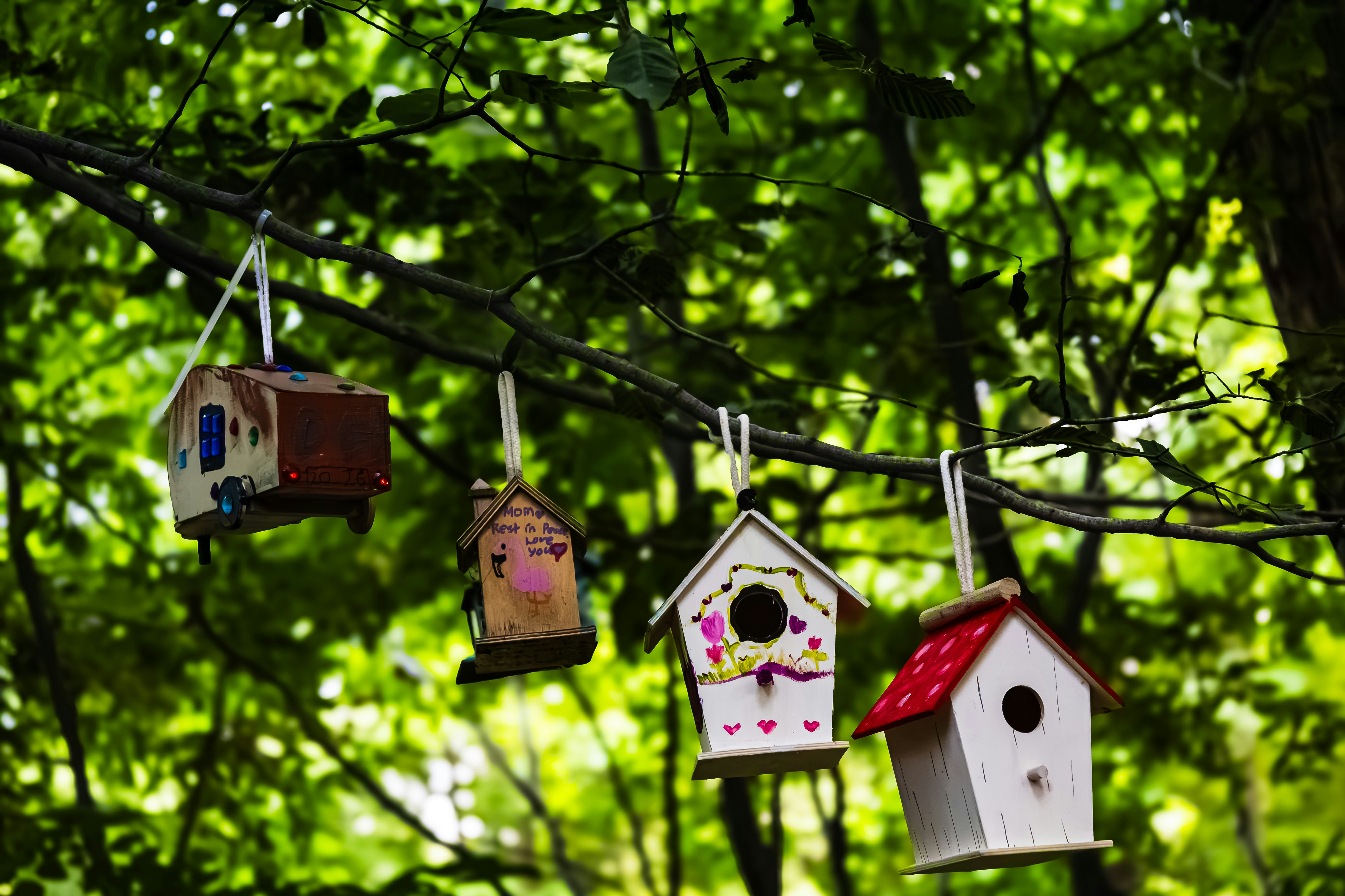 Whimsical Birdhouse Parade Under Green Canopy