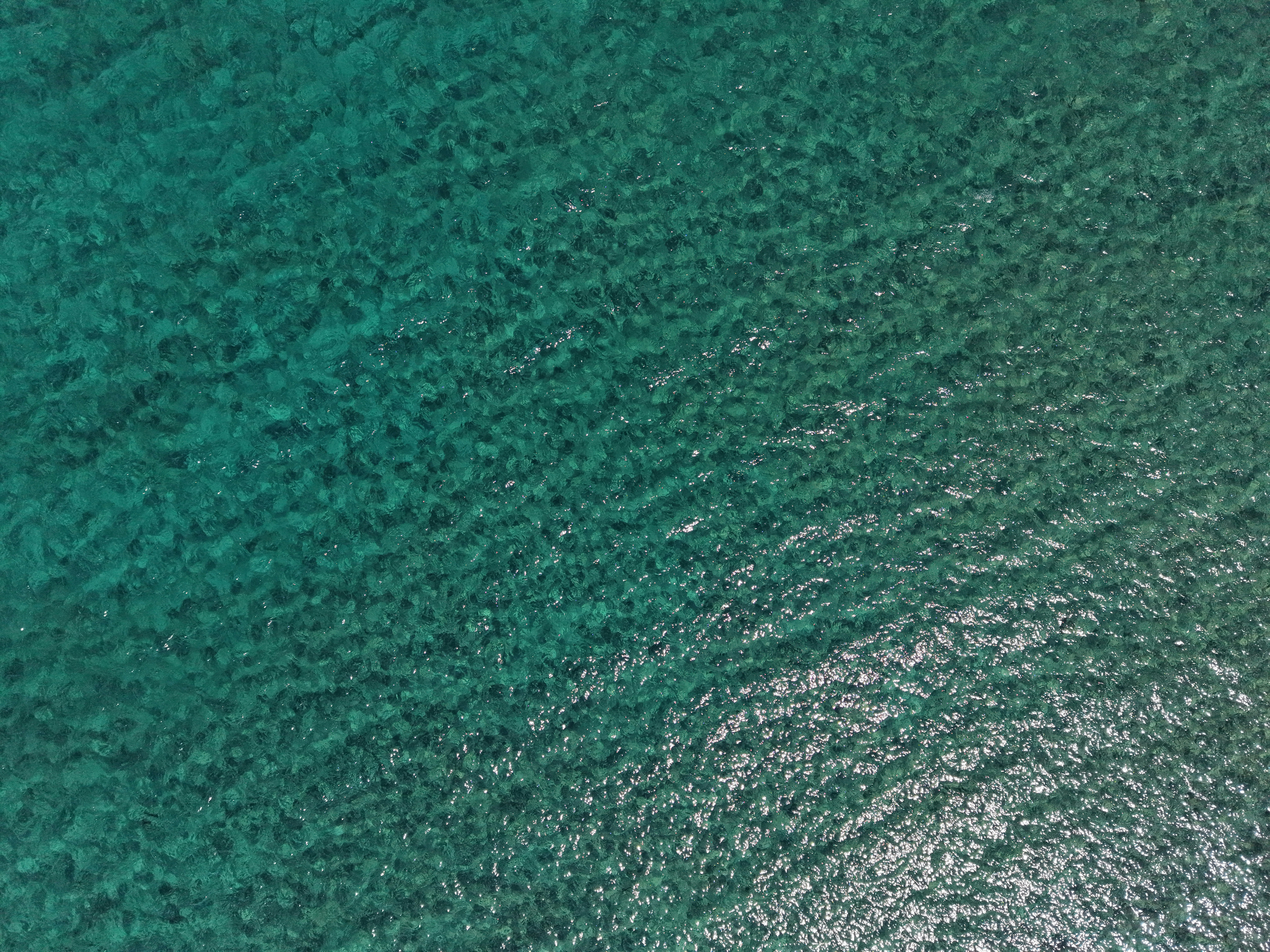 Emerald Quiet: a sun-glinted sea waking to surface ripples