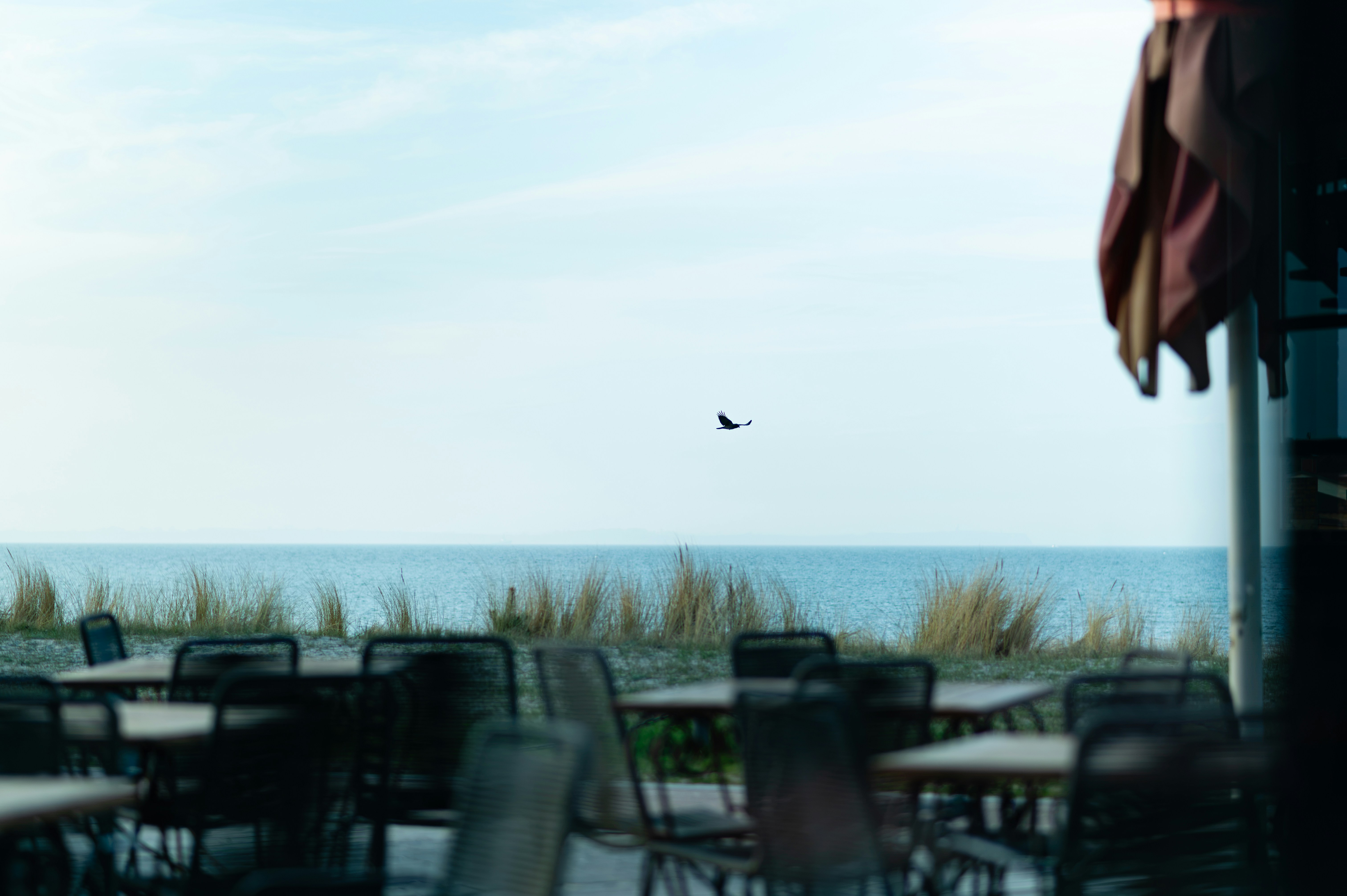 Seaside Terrace Meets the Horizon