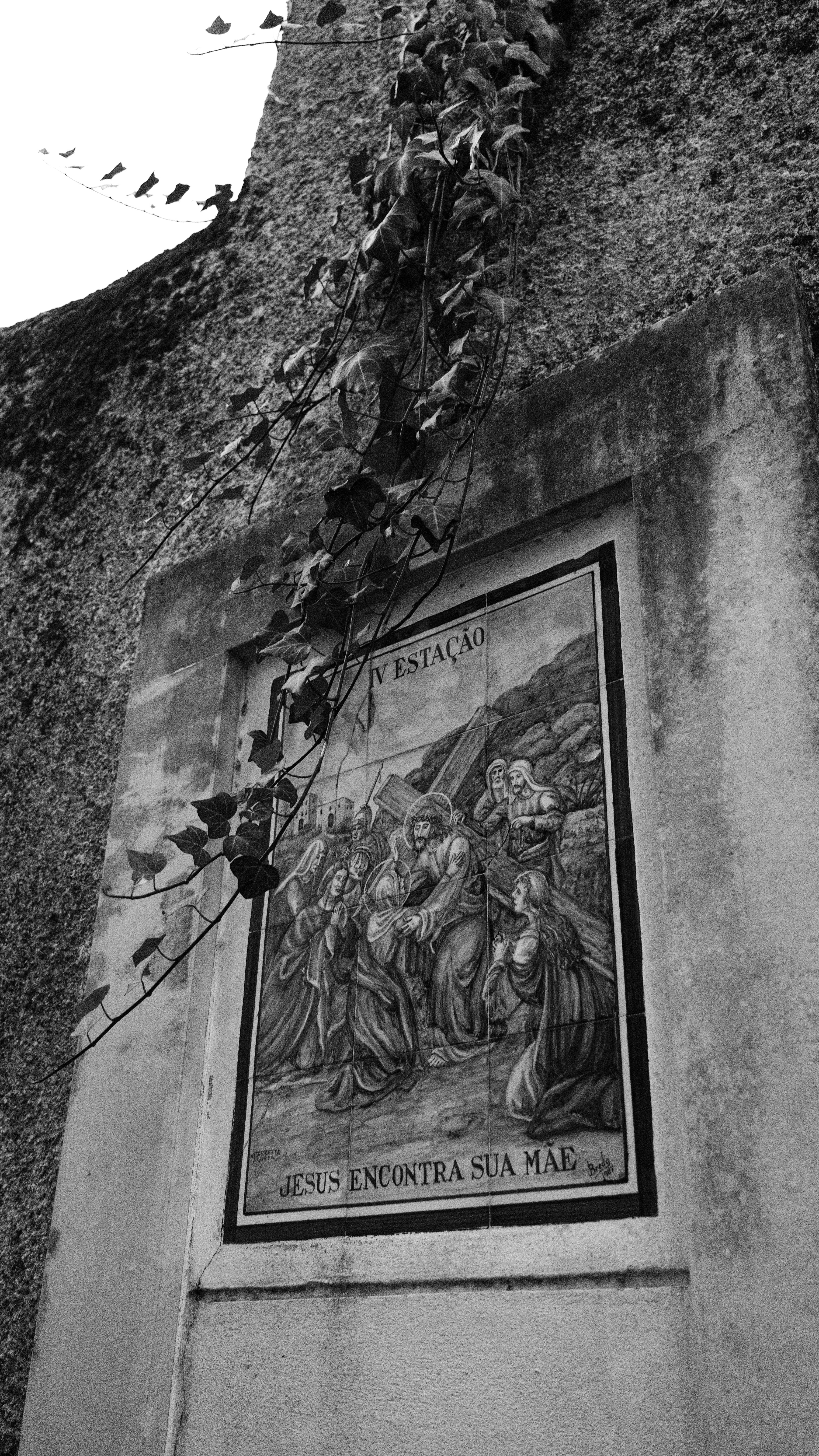 Overgrown Faith: A Framed Scene Beneath Climbing Vines