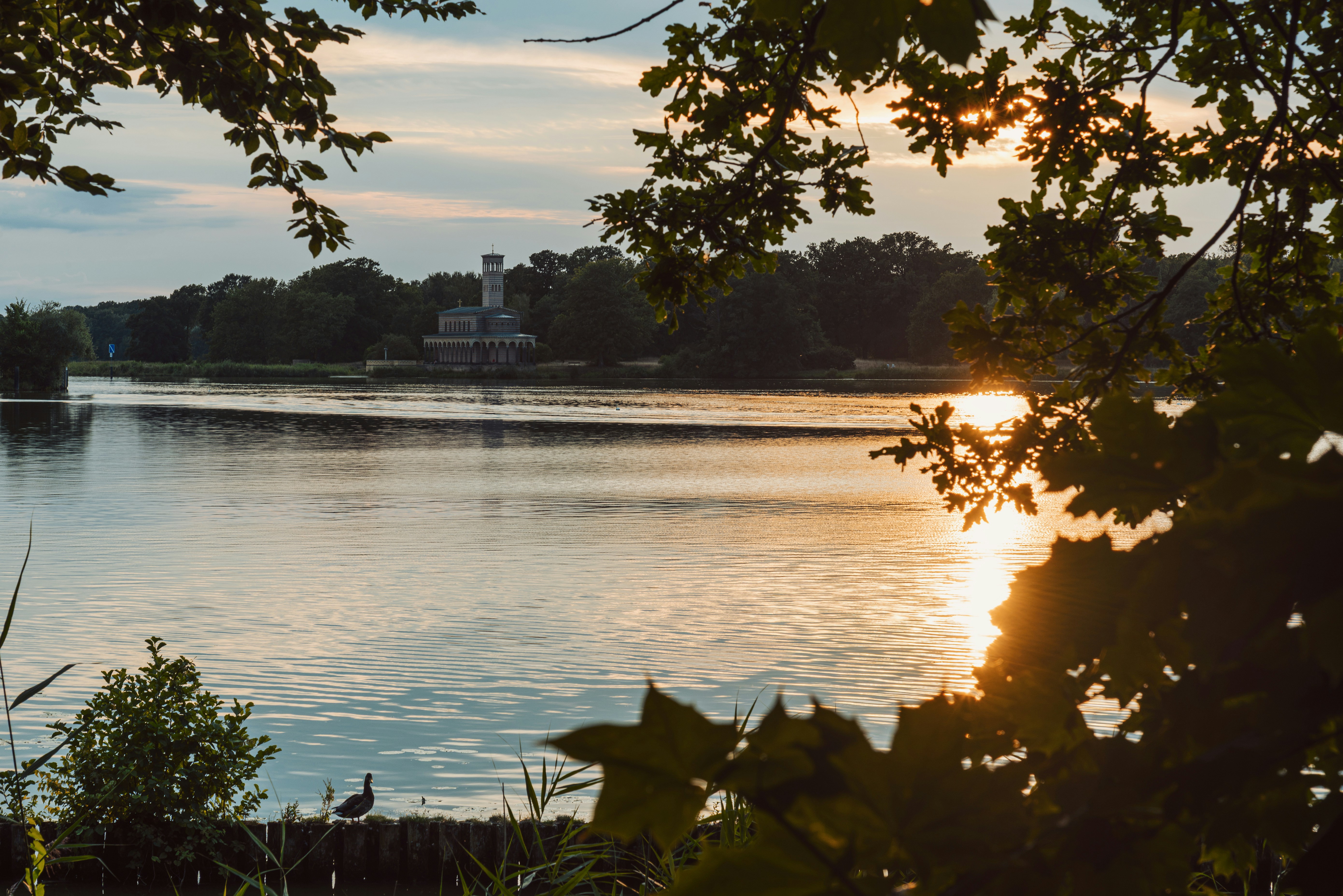 Sunlight glints on calm water beside a riverside, with the foreground leaves framing a distant structure across the lake. A tranquil landscape scene, likely a park or riverside area.