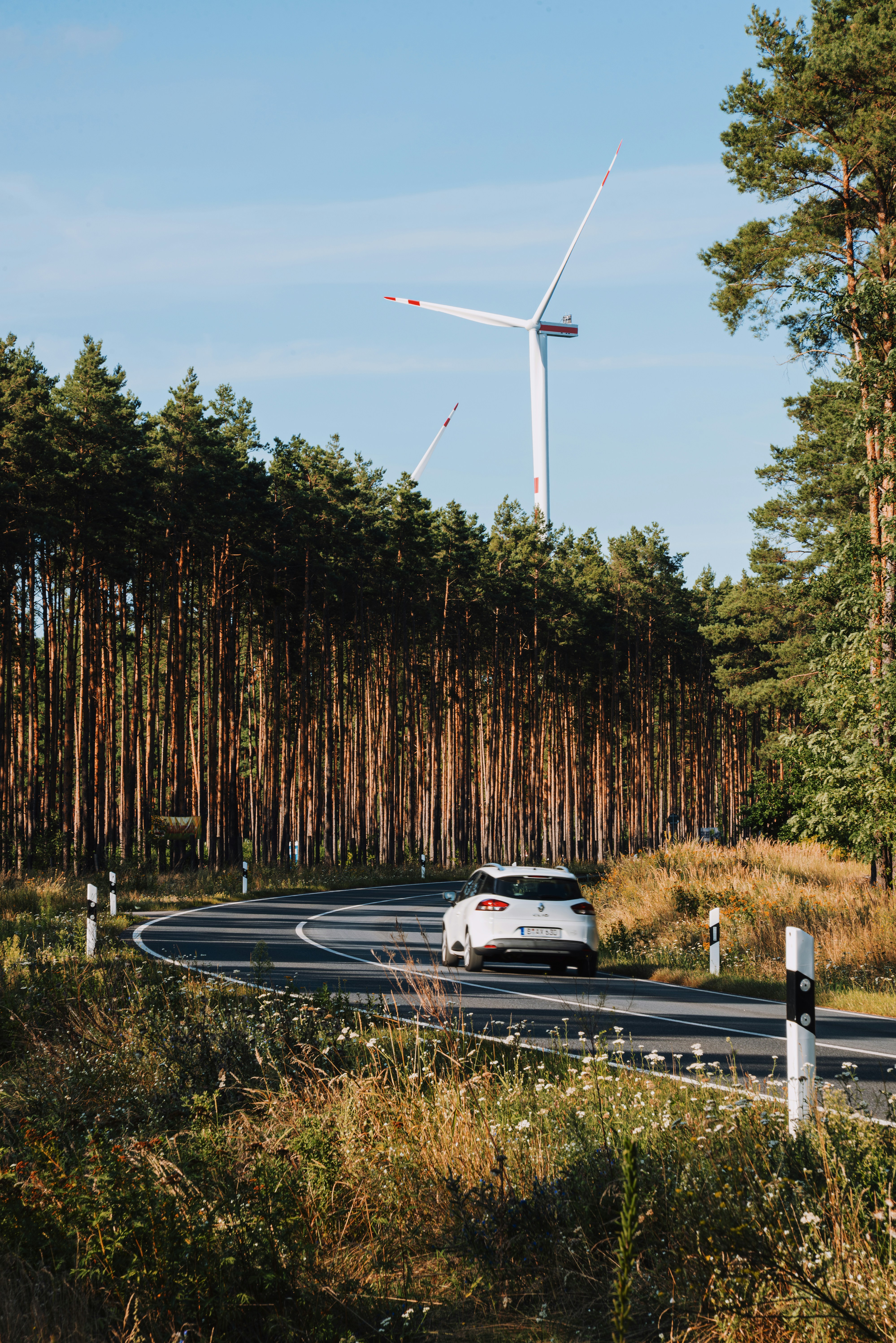 A white car nears a bend on a winding forest road, with tall pines and a distant wind turbine rising above the treeline on a clear day.