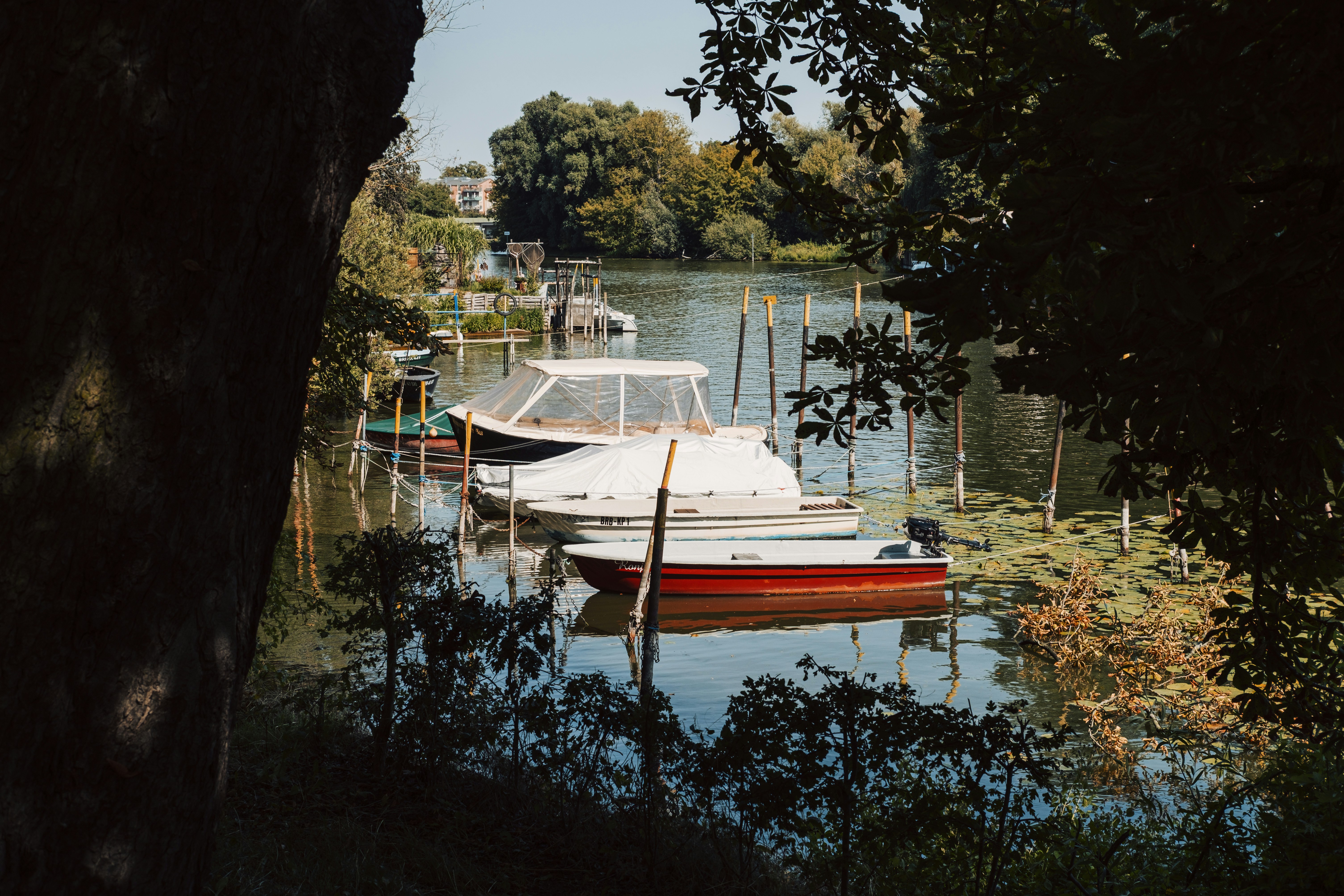 Quiet Marina in Shade: Boats Resting by a Sunlit Channel