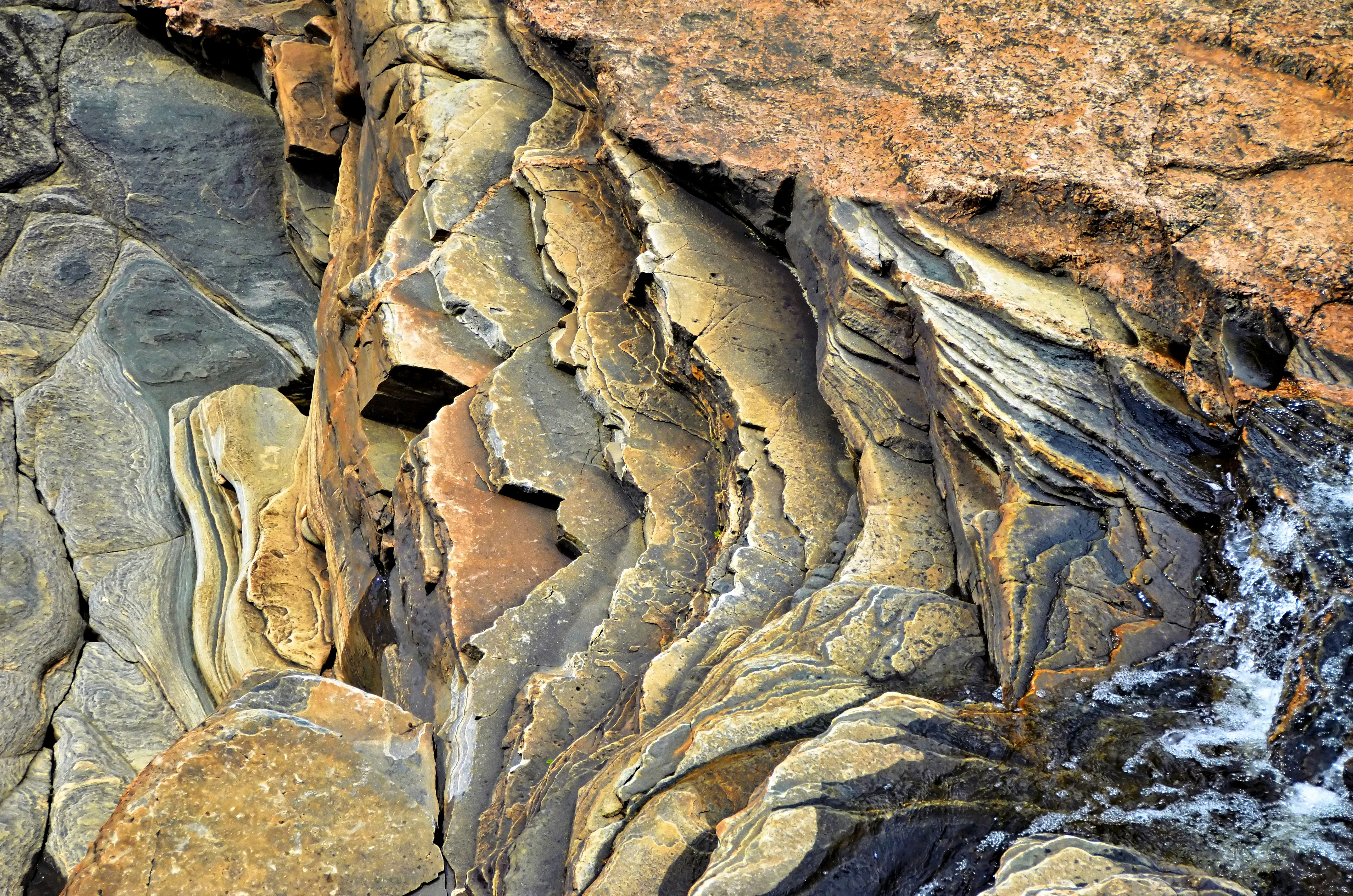 Strata of Sea-Woss: Weathered Ridge Surfaces Carved by Tidal Hands