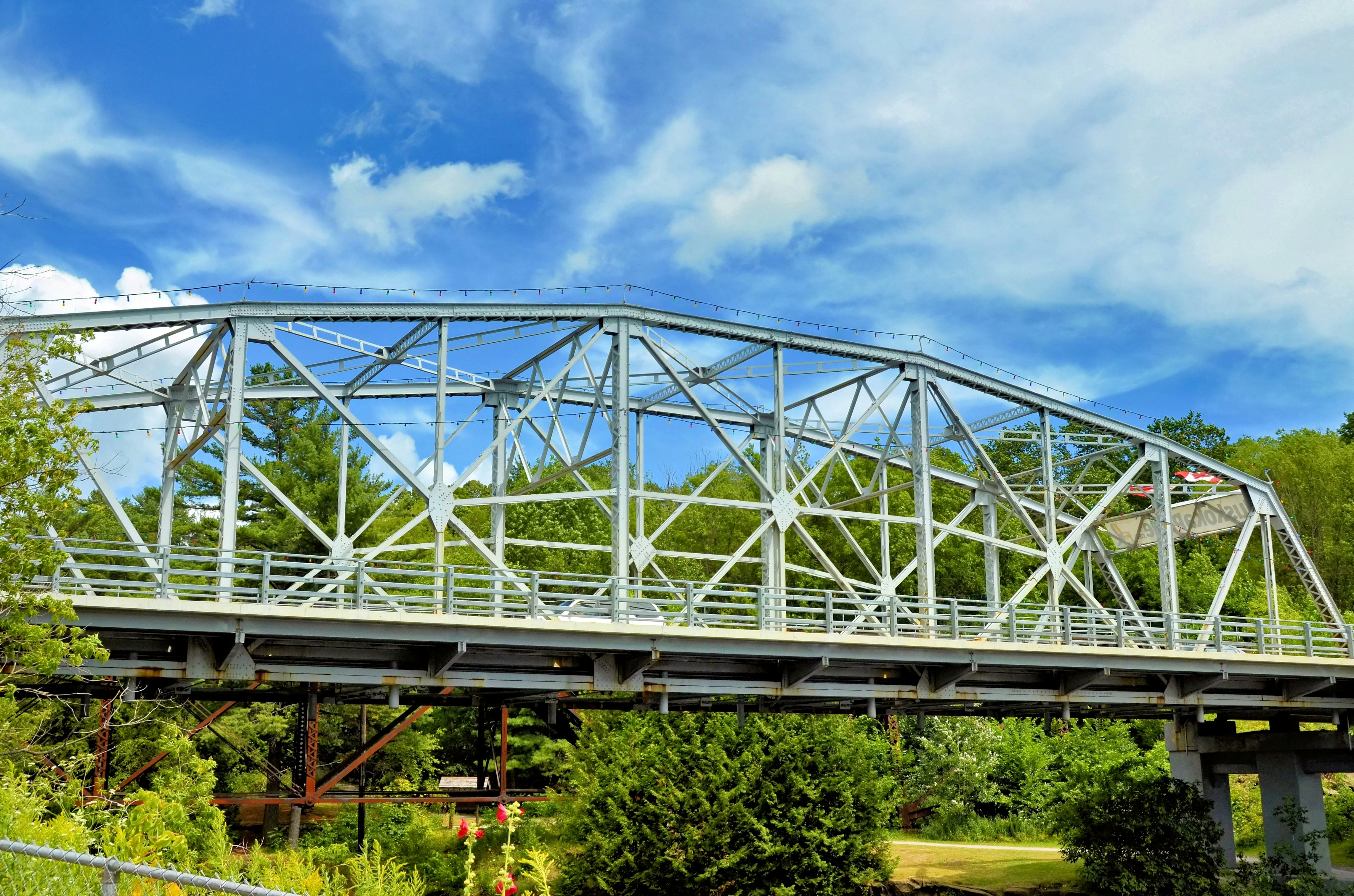 Steel Ribbon Over Green: A Tranquil Bridge Scene