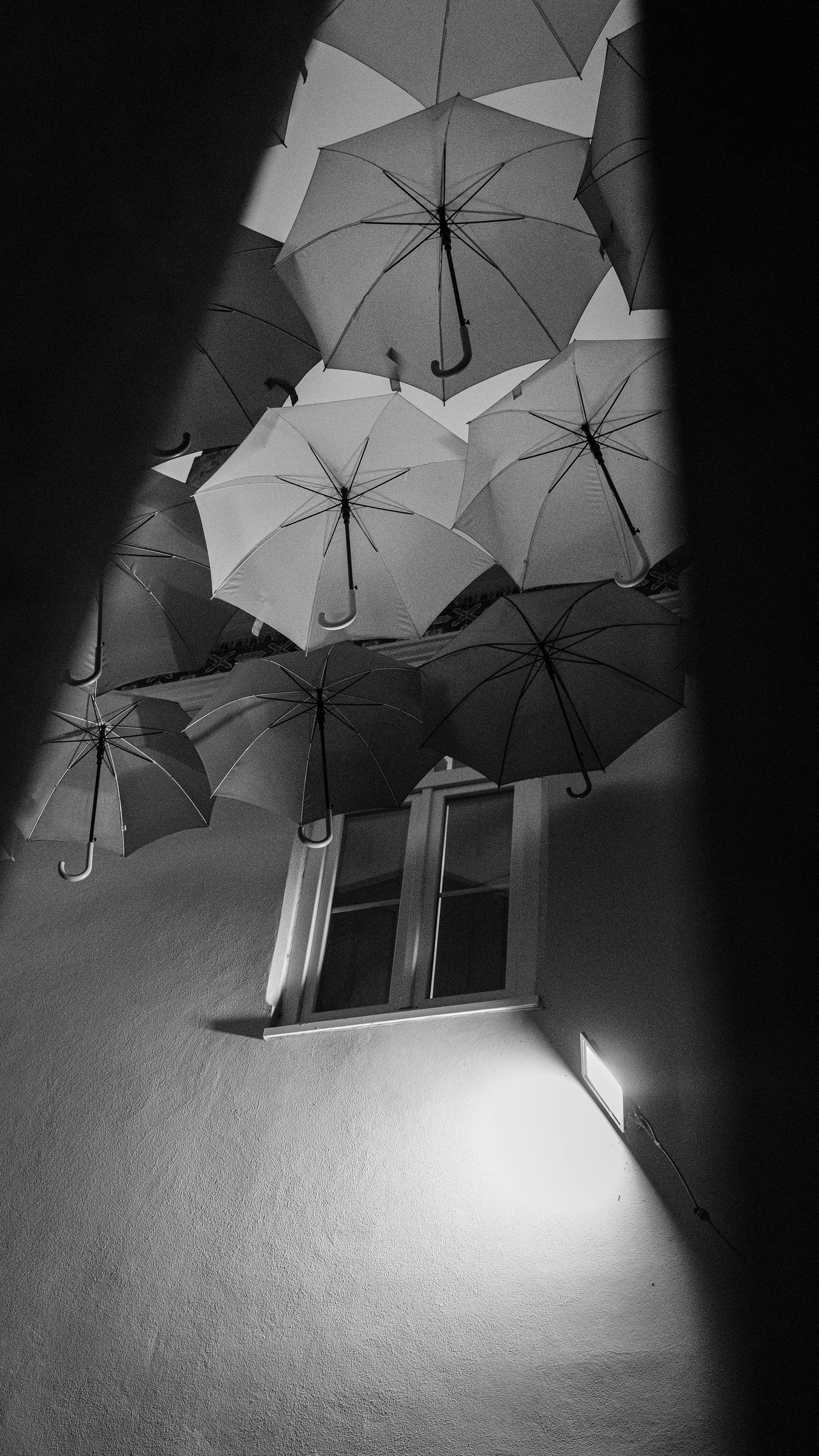 Umbrella Choir: A Rooftop Migration Under Overcast Dusk
