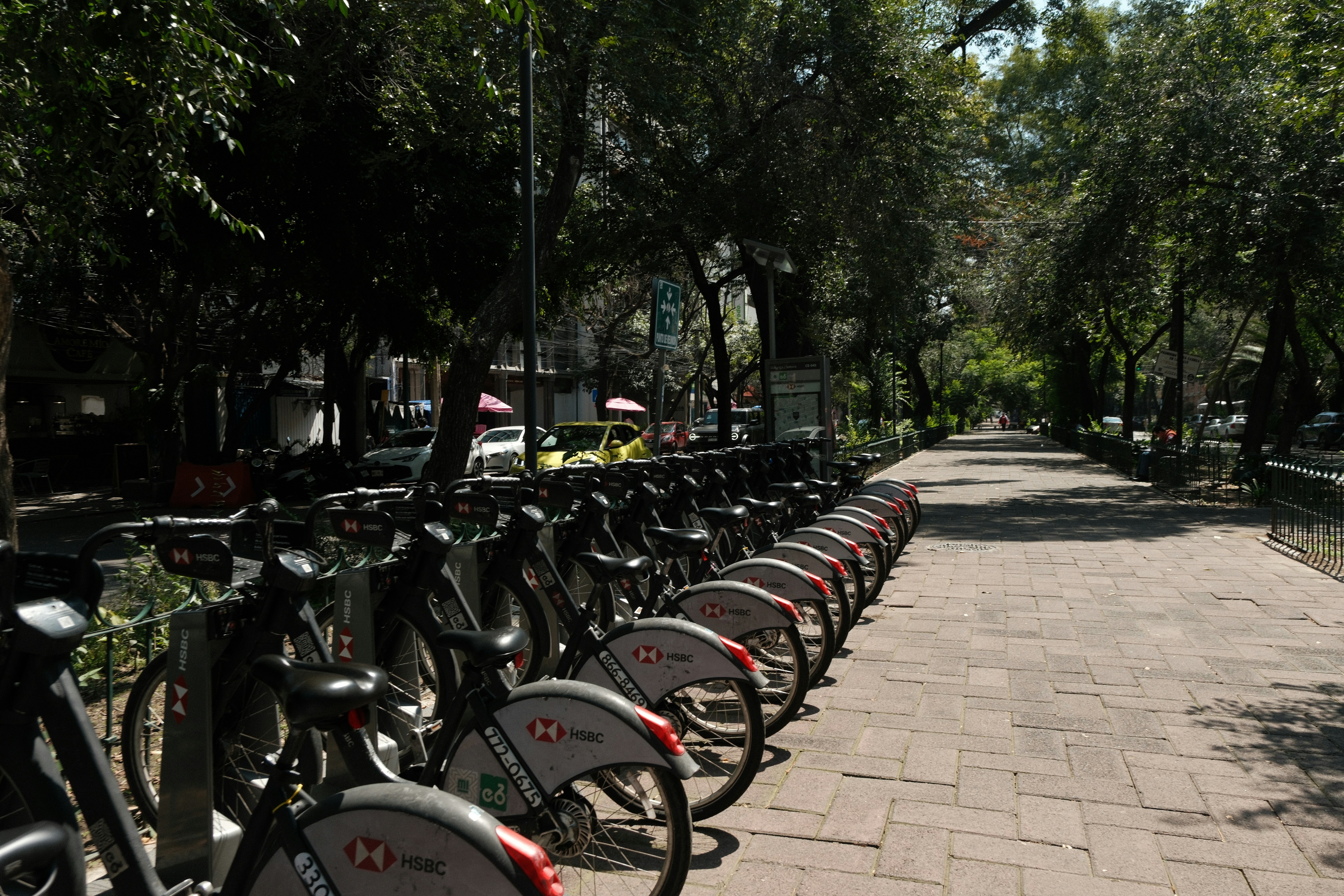 Row of rental bicycles along a sunlit pedestrian avenue with trees and people in the background. The scene emphasizes urban mobility and public amenities.