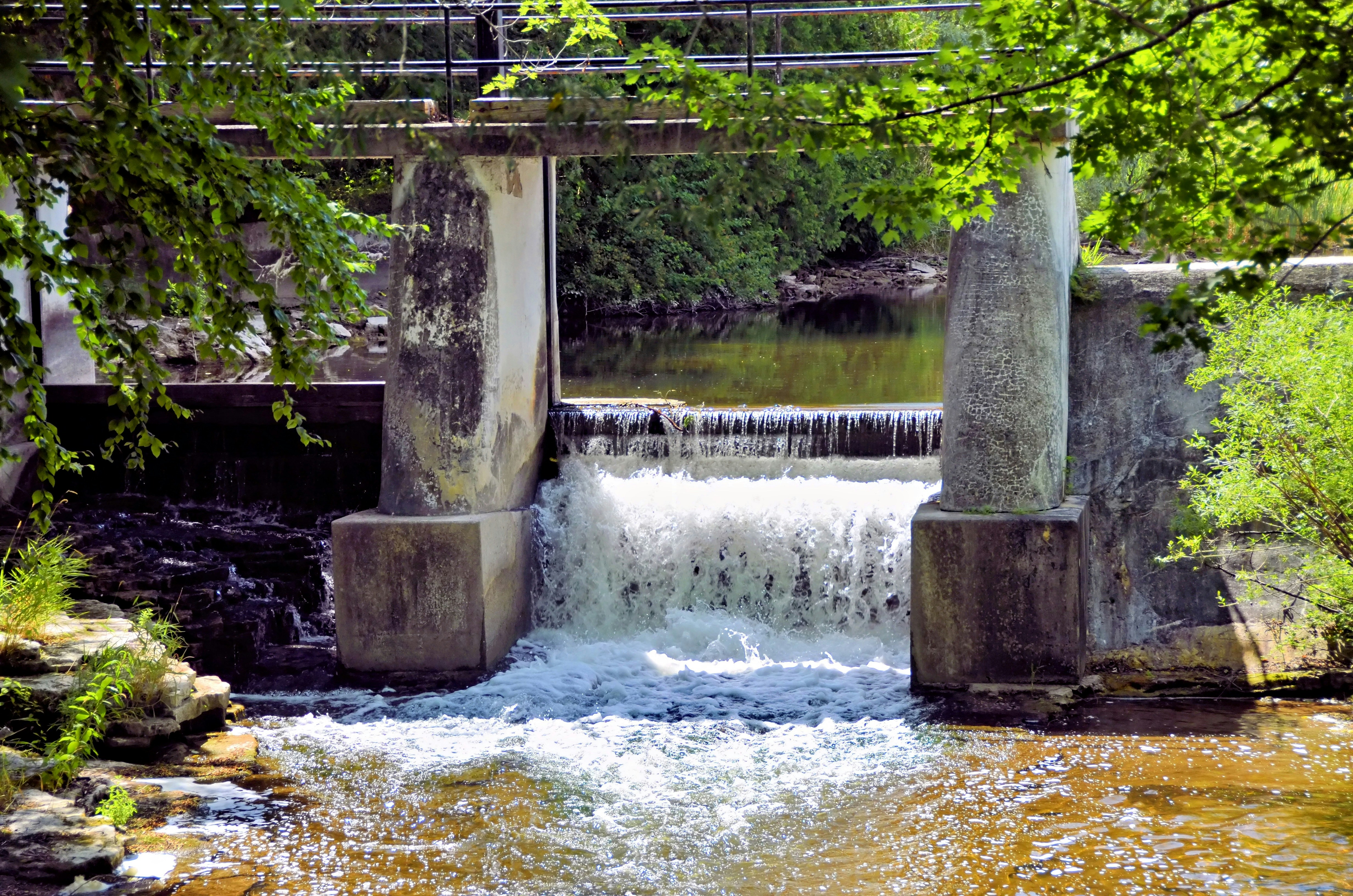 Concrete Stairs and Waterfall Under a Green Canopy