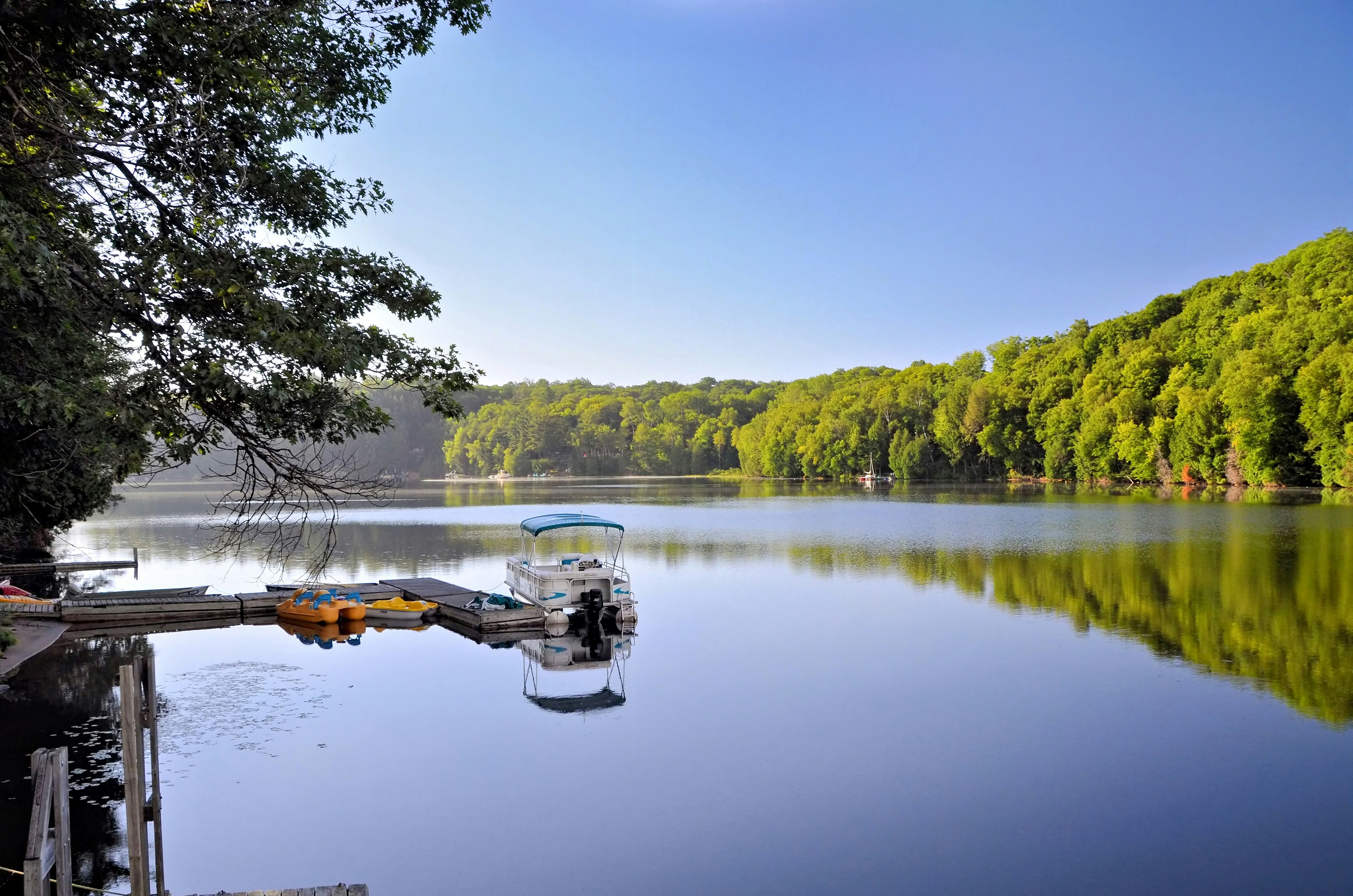 Serene Lakeside Docks Stretch into a Verdant Horizon
