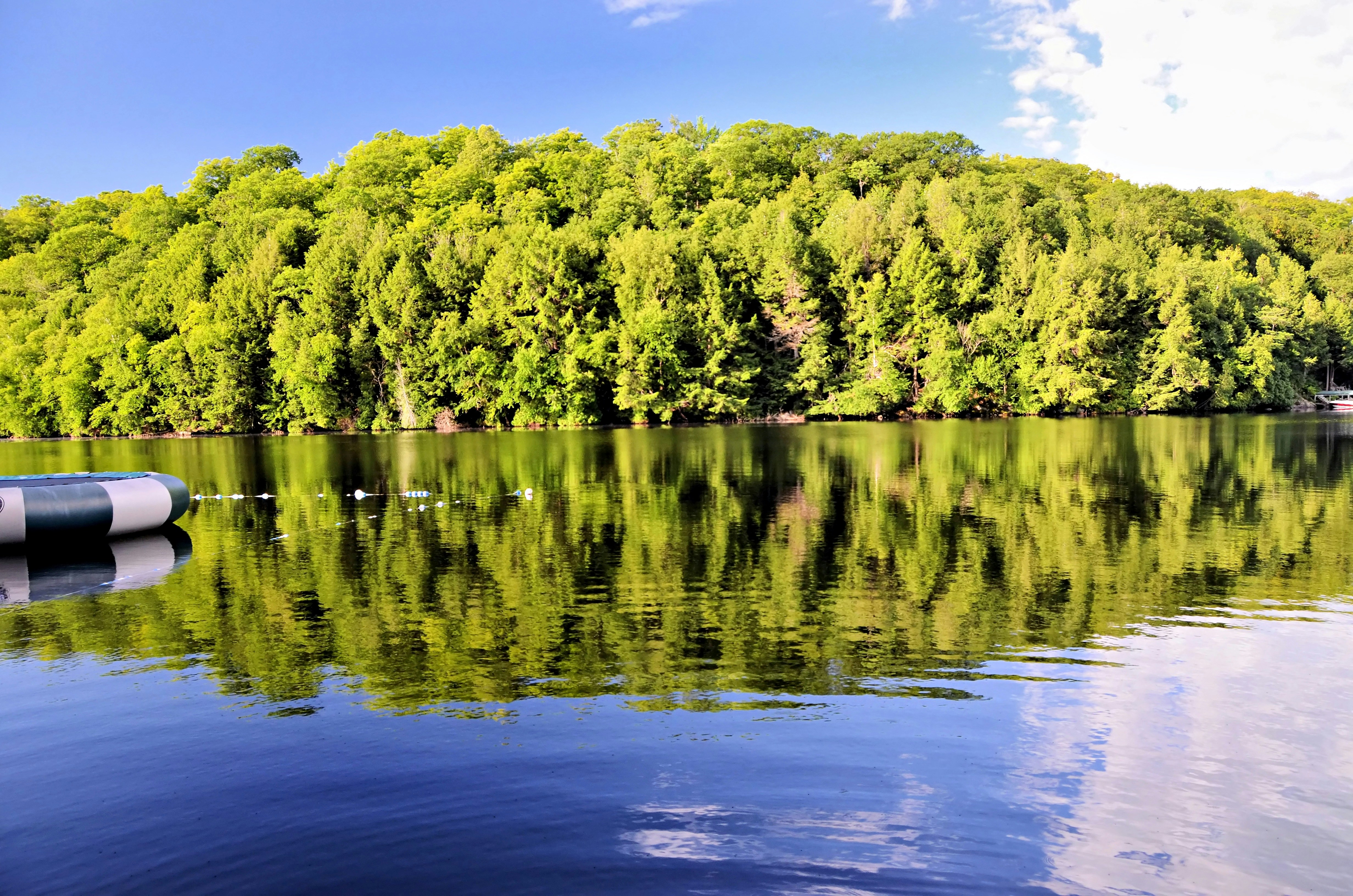 Lush riverside panorama reflecting a sunlit green canopy