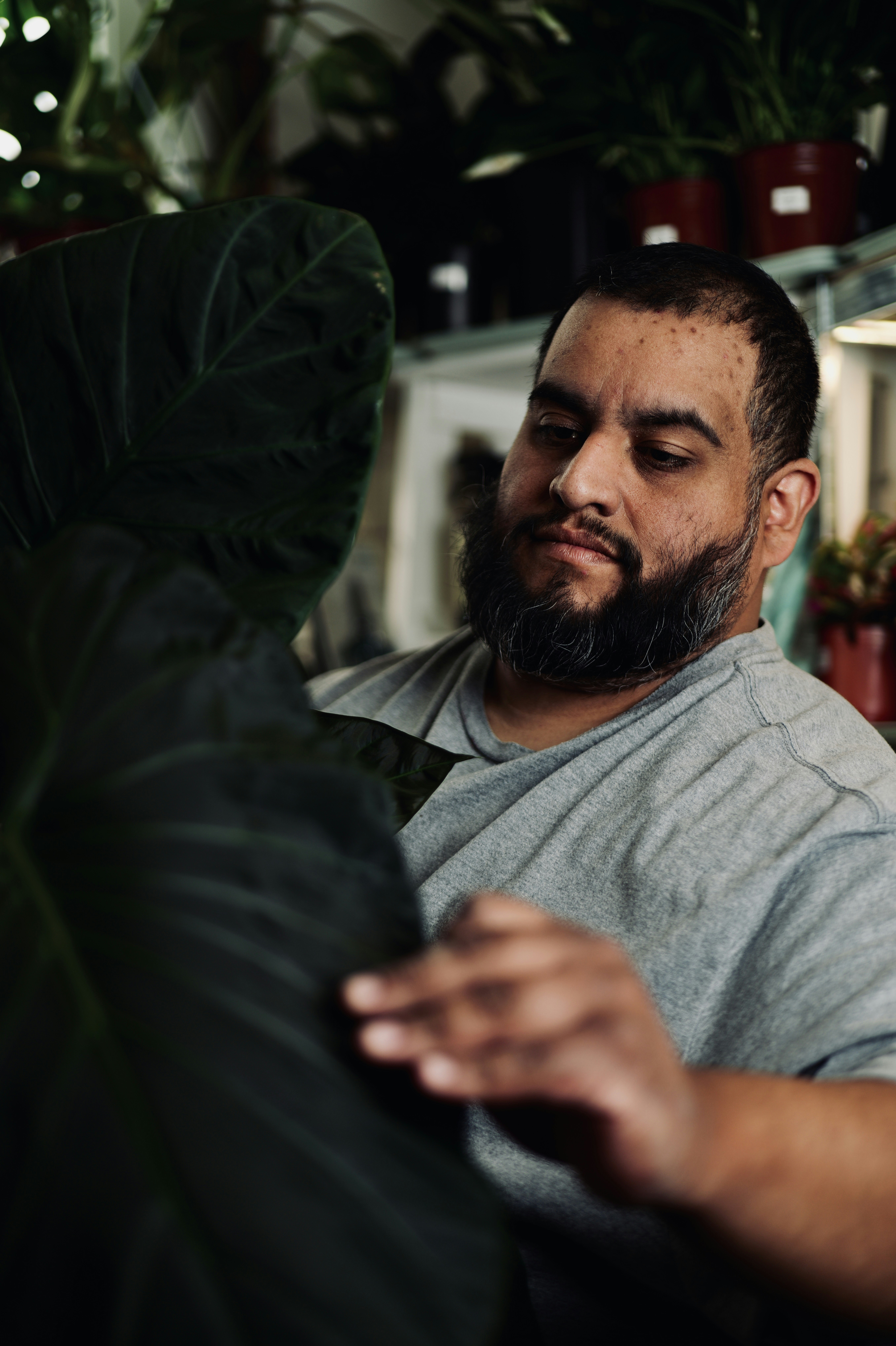 Near-Focused Hands and Leaf: A Gardener in Shadowed Light