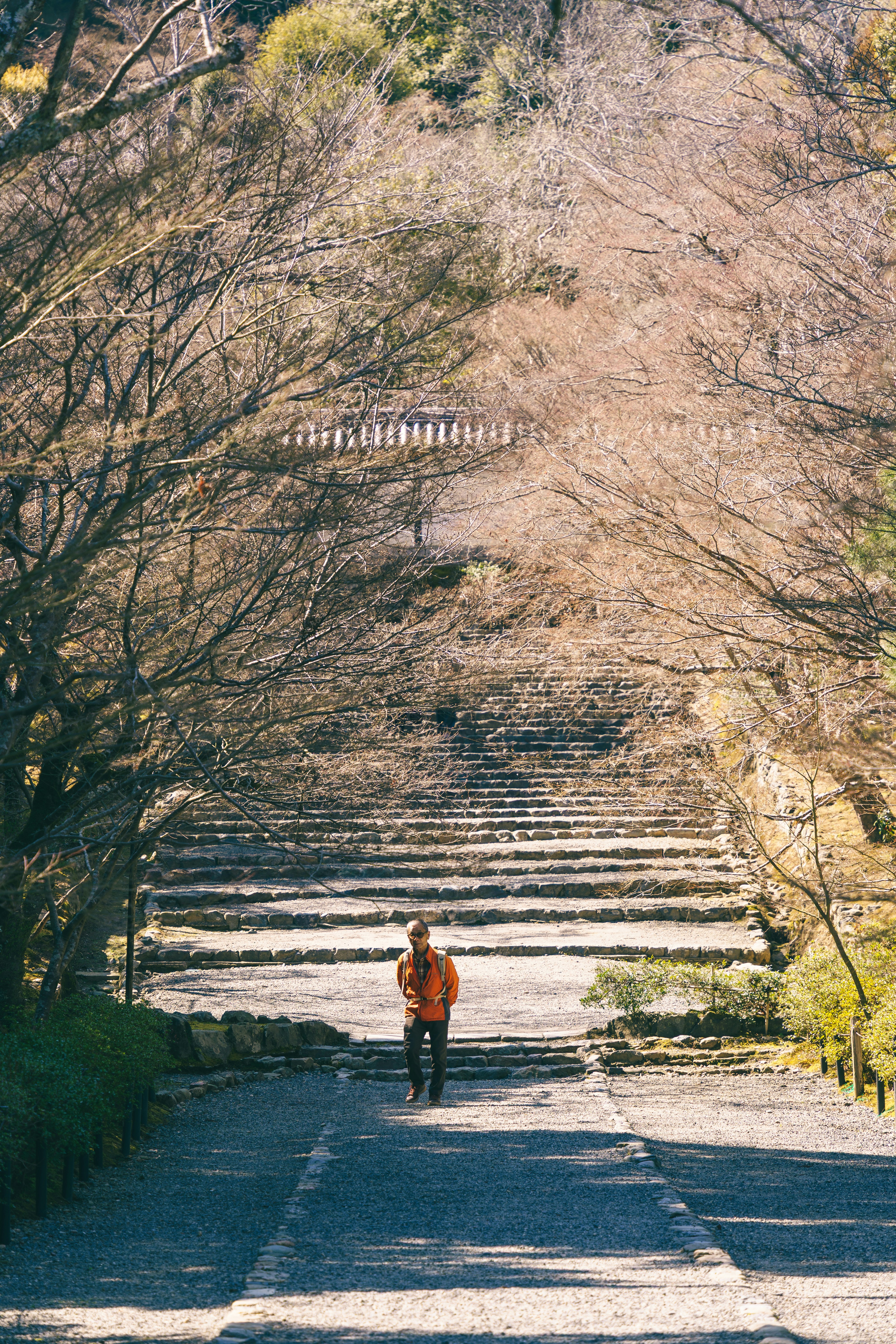 A solitary traveler on a sunlit stone staircase amid spring foliage