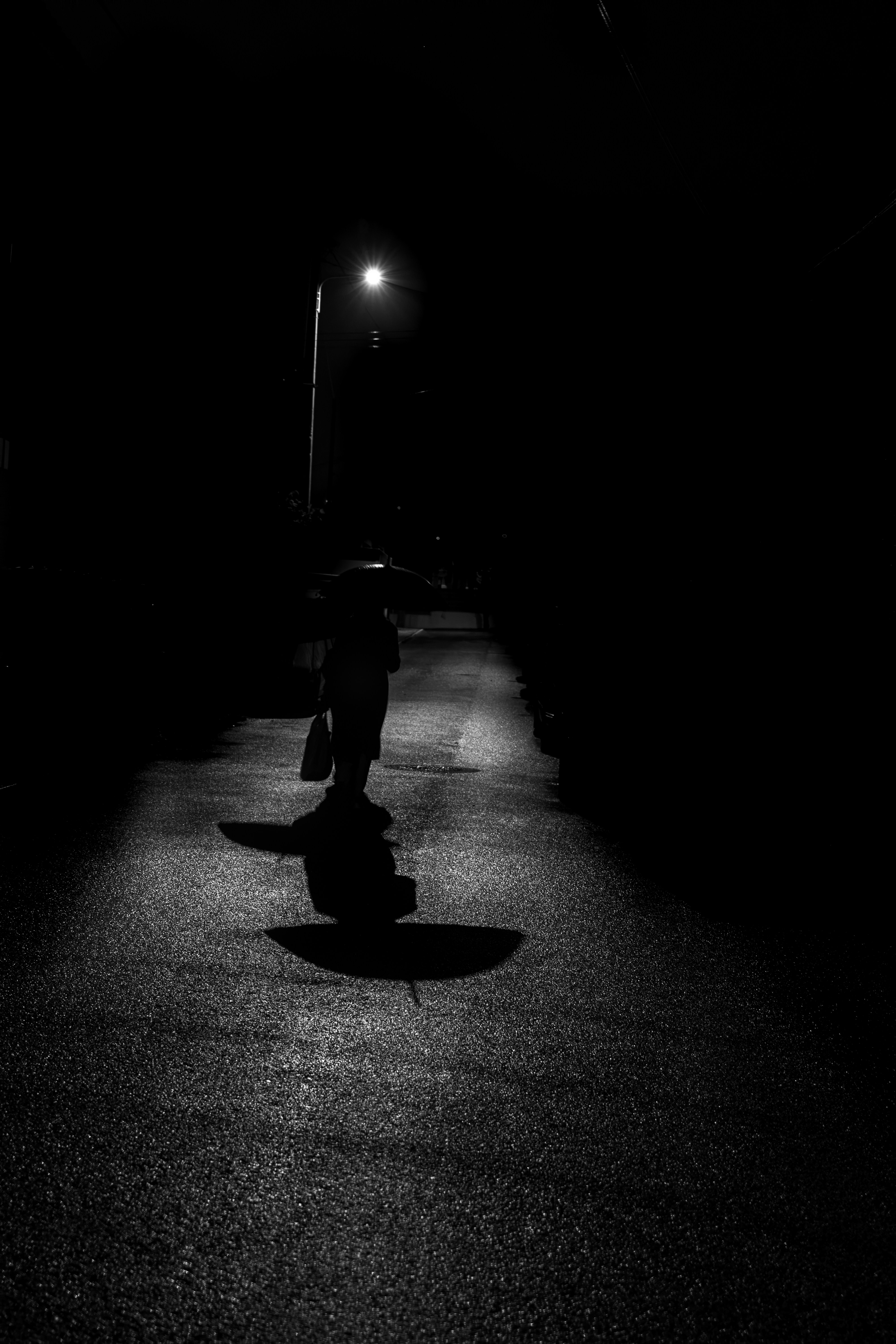 Midnight Stroll: A Lone Shadow Traverses a Quiet Street