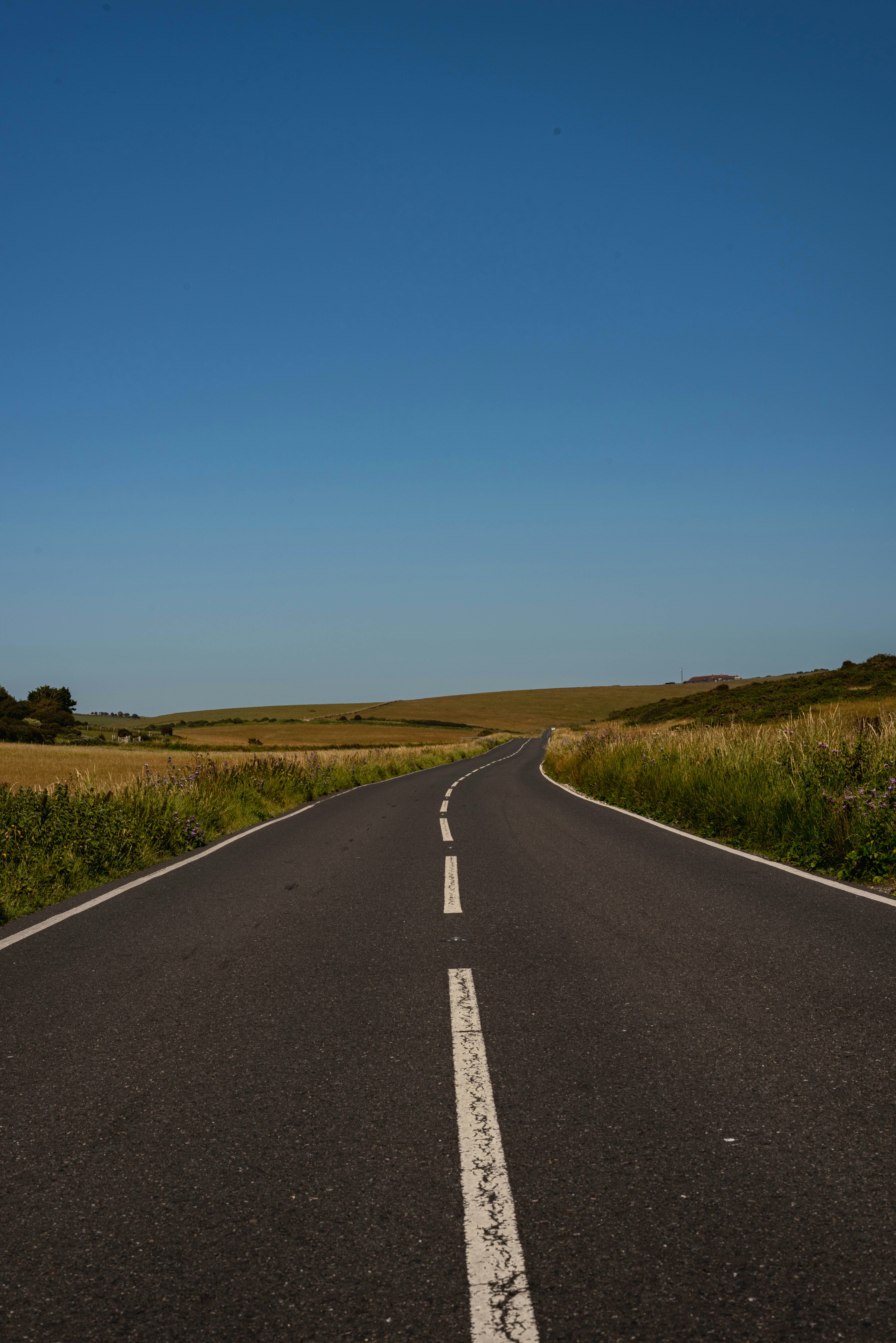 Endless Asphalt: The Road That Bends Toward the Horizon