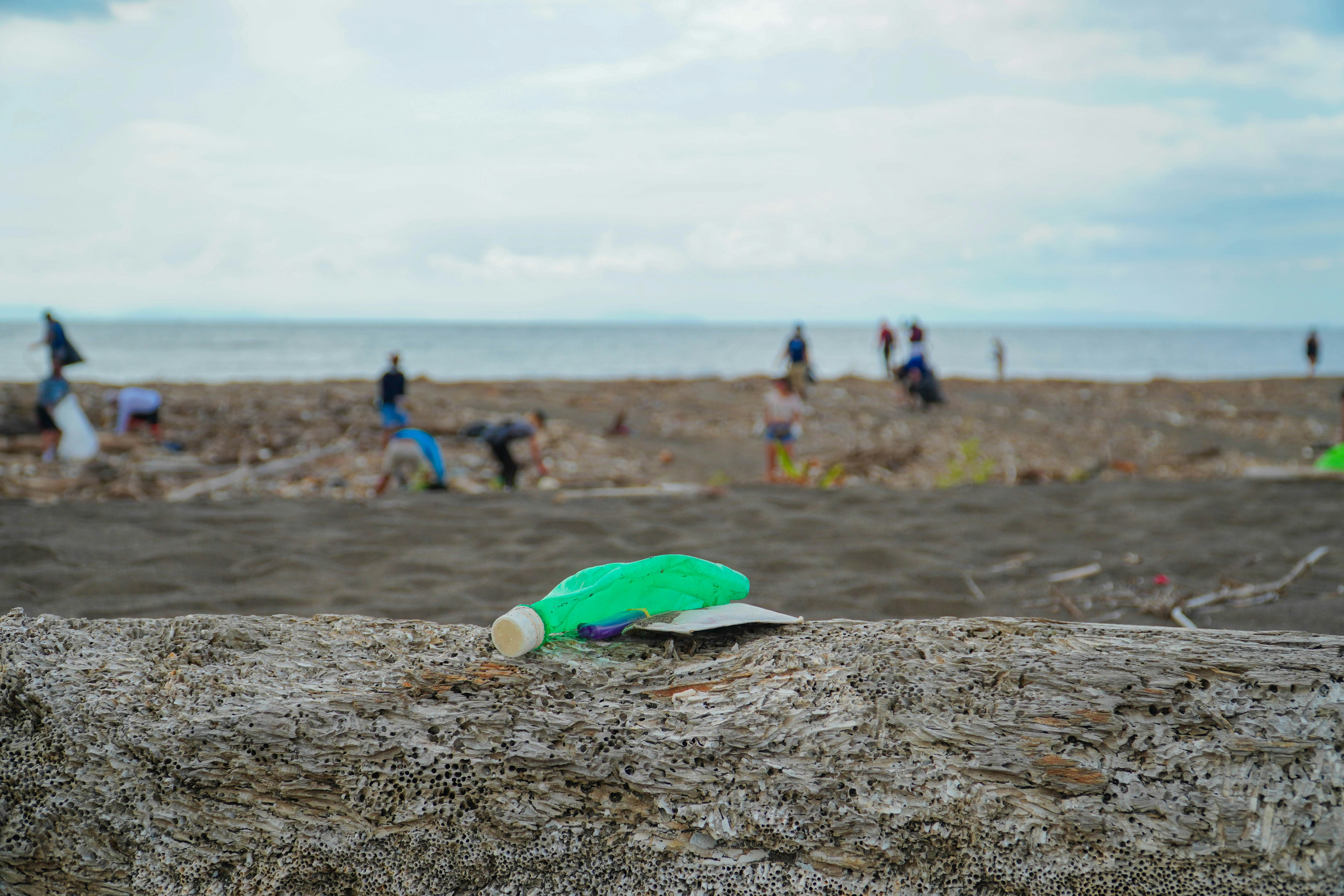 Green Bottle Cap on Weathered Driftwood: Beach Scene in Focus
