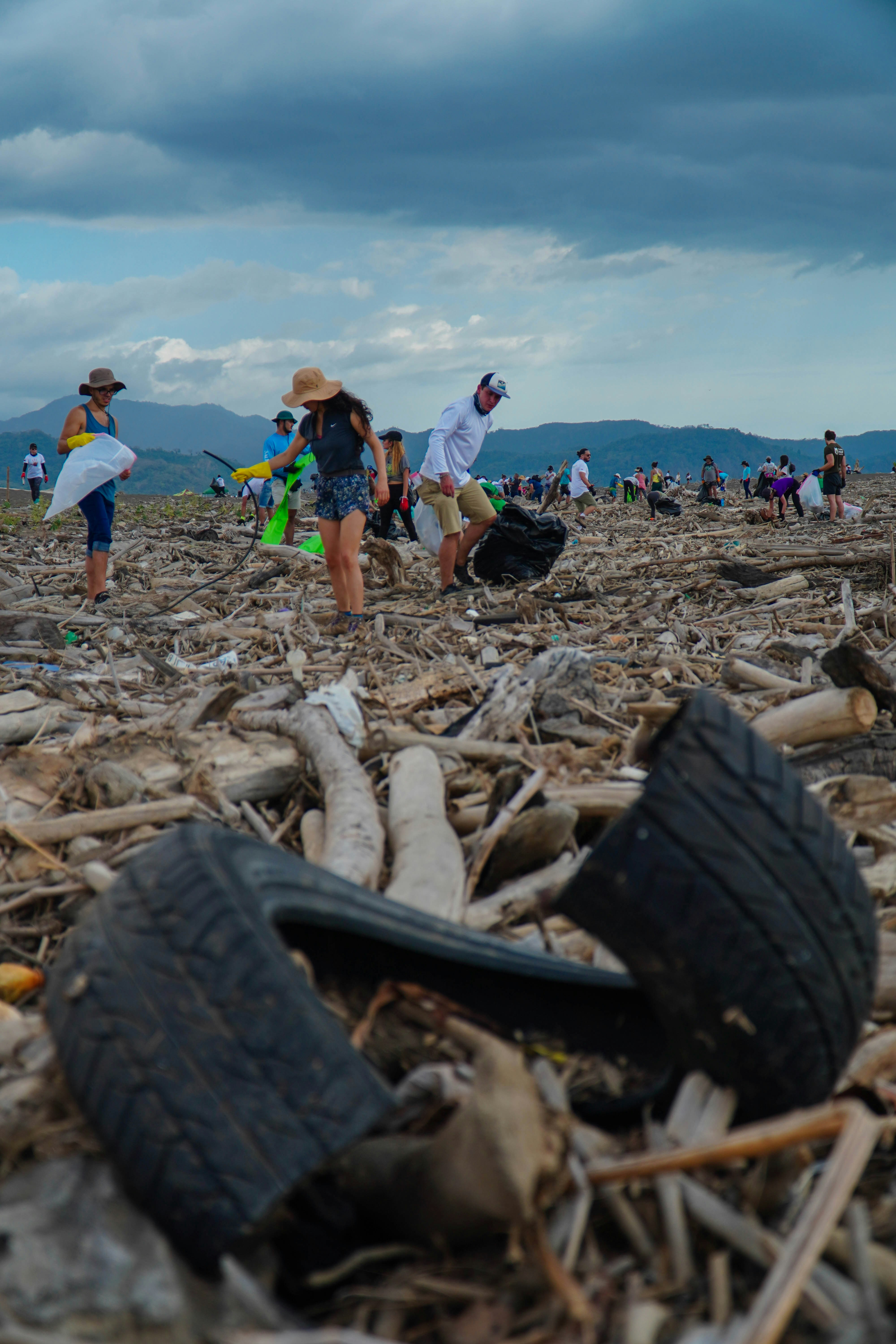 Driftwood Beachfront Cleanup: Volunteers Work Among Debris Under Expansive Sky
