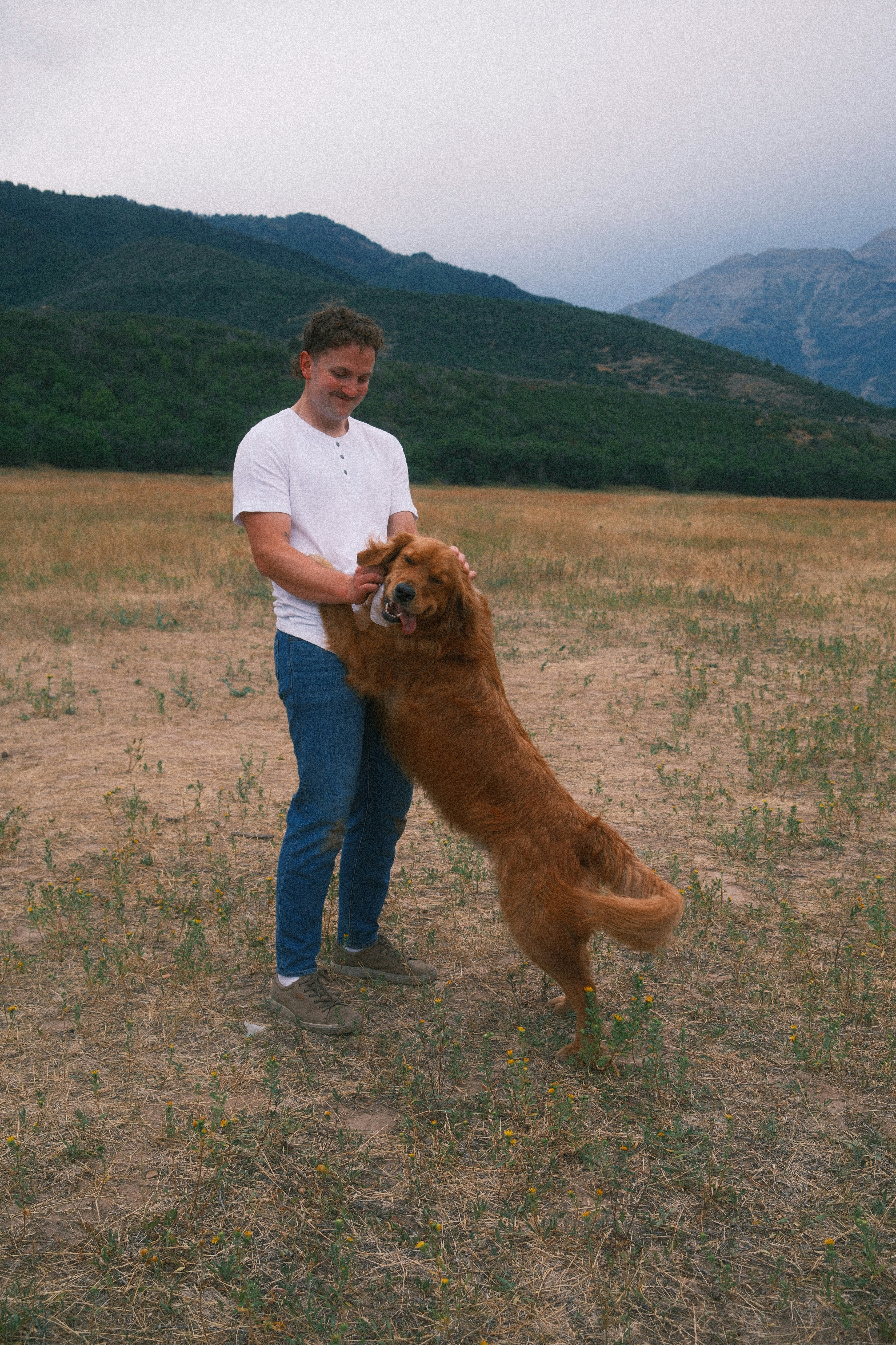 Man and Golden Retriever Share a Joyful Bond in a Mountain Meadow