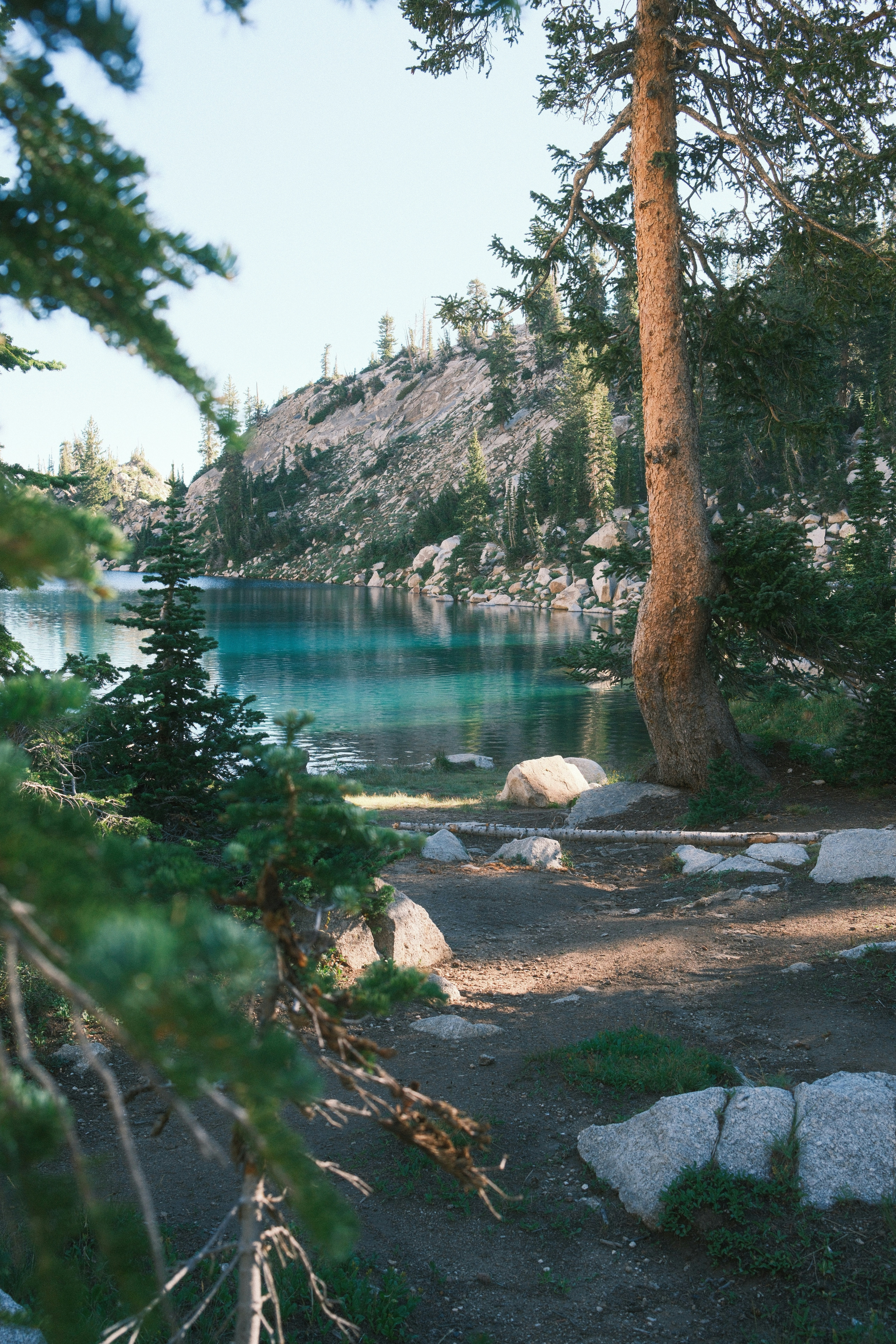 Verdant Lakeside Trail Beside Turquoise Waters