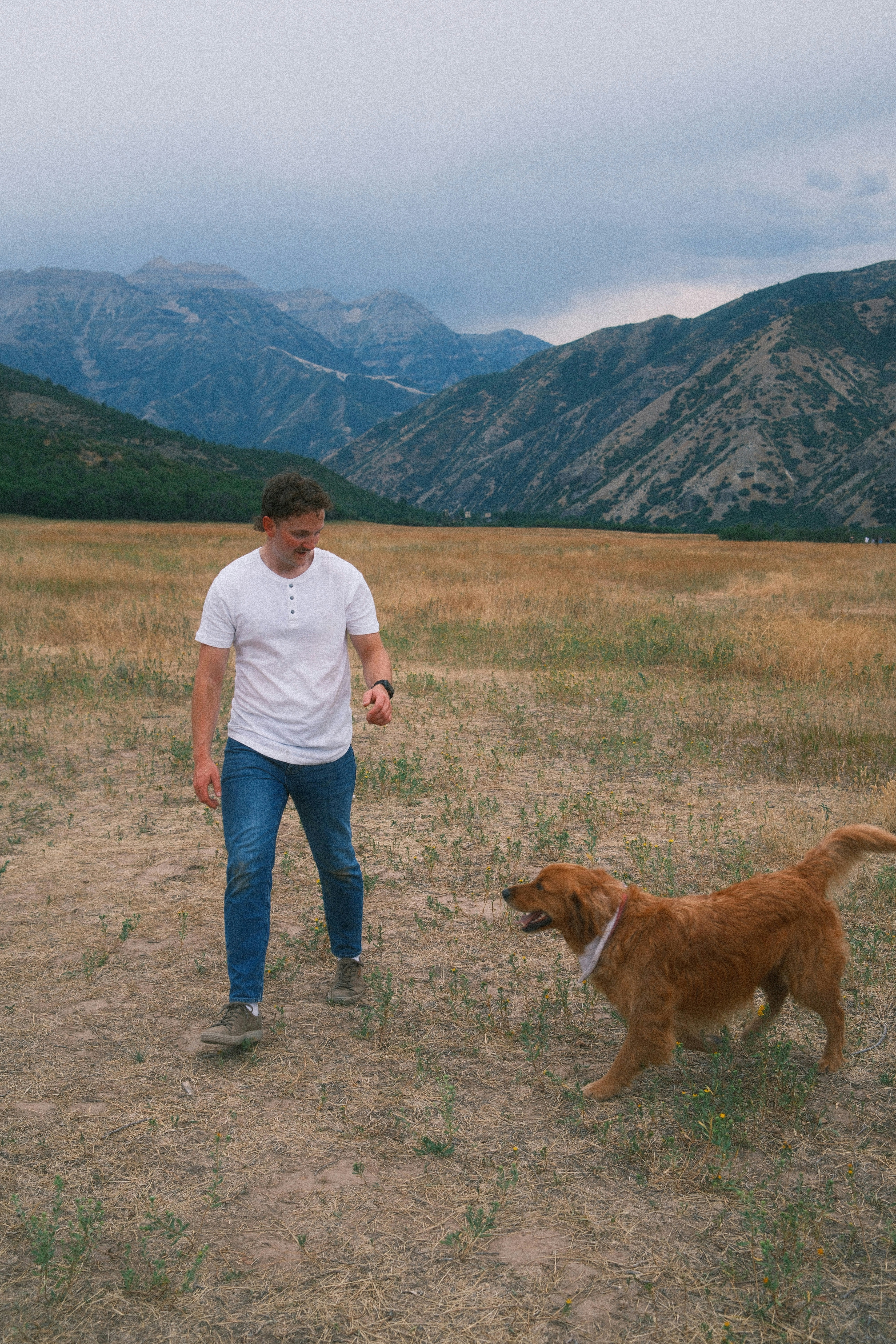 Man and Golden Retriever in Golden Meadow with Mountain Backdrop
