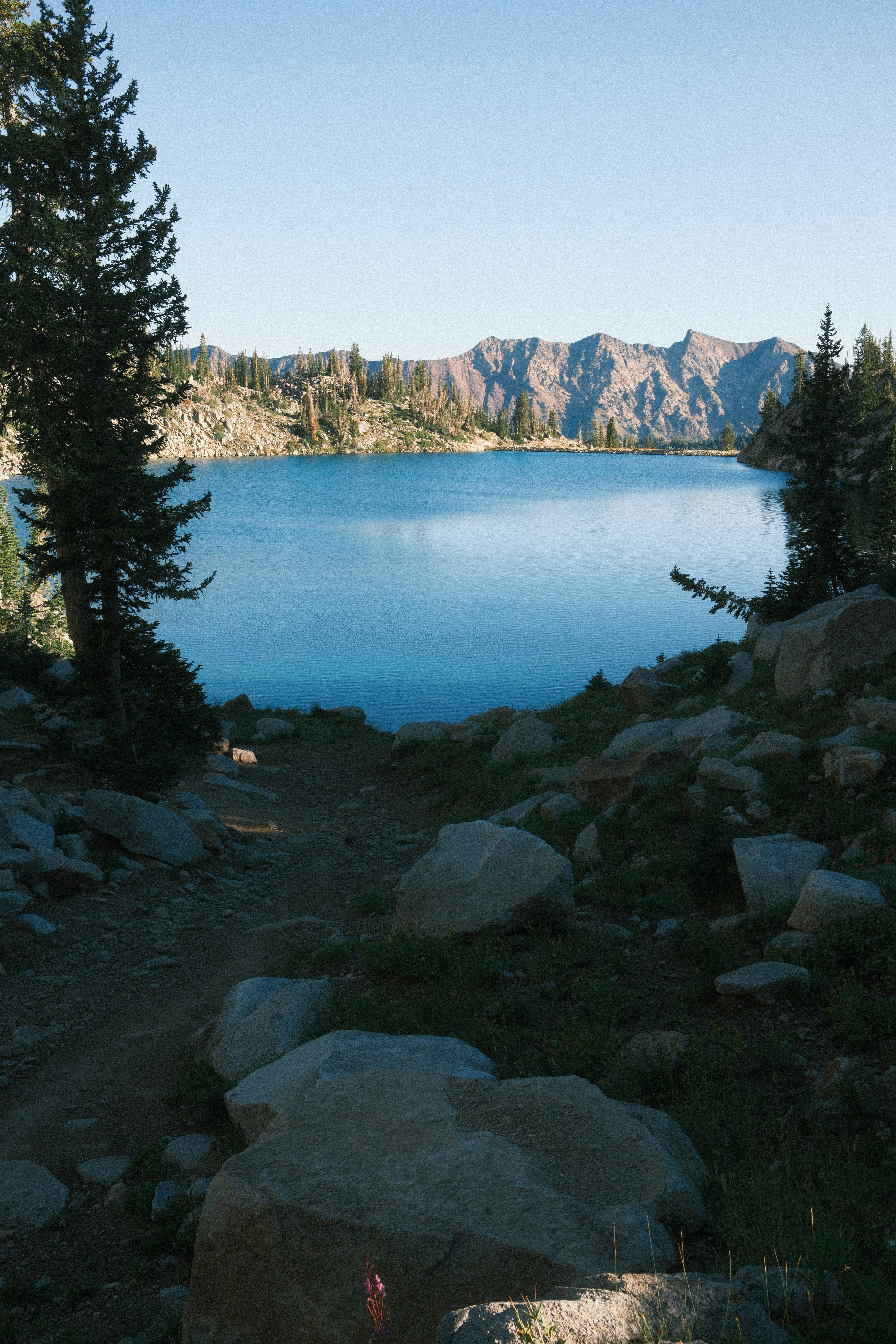 Mirror of the Sierra: A Quiet Path by the Lakeside