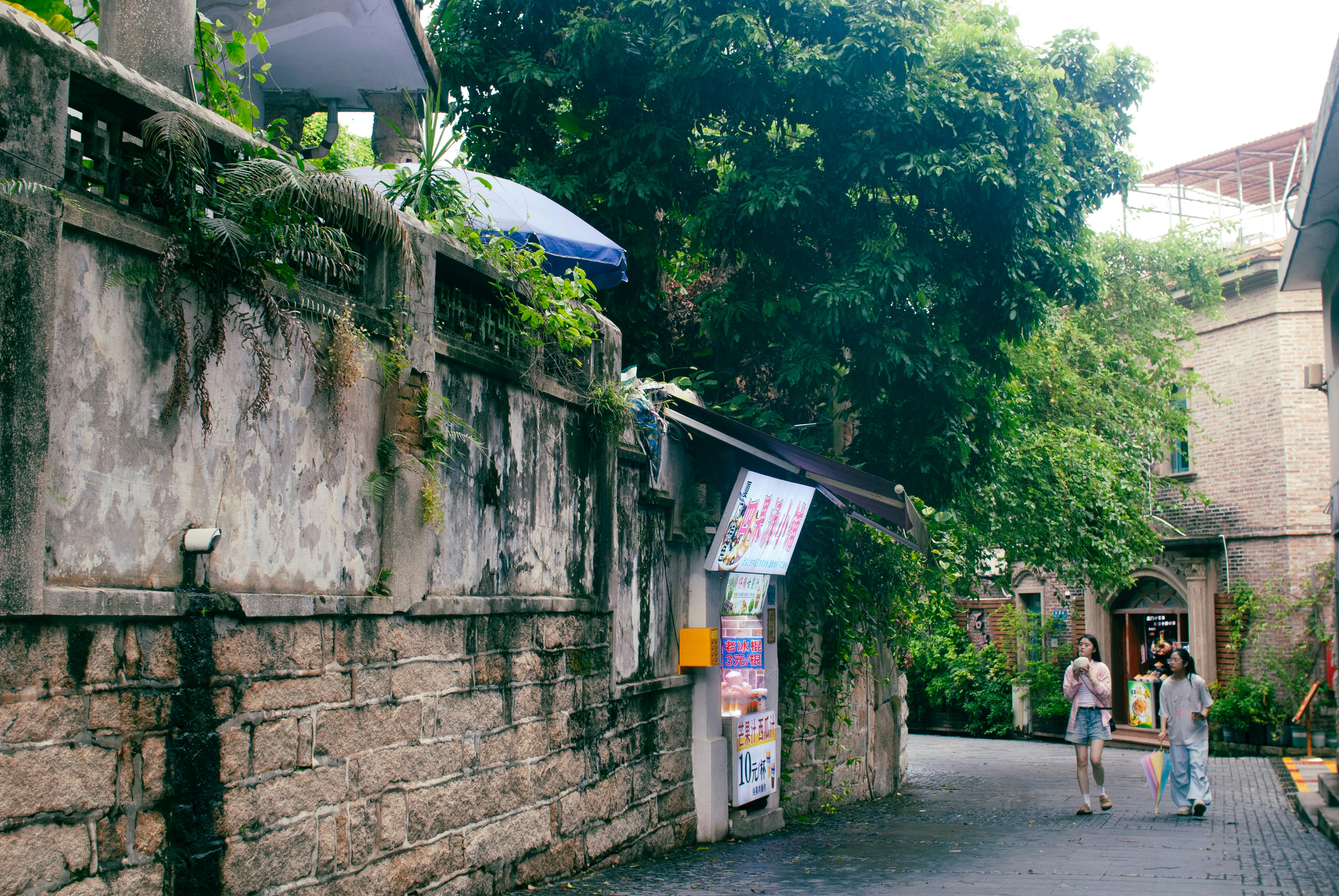 Quiet Alleyway Between Weathered Walls and Green Canopies