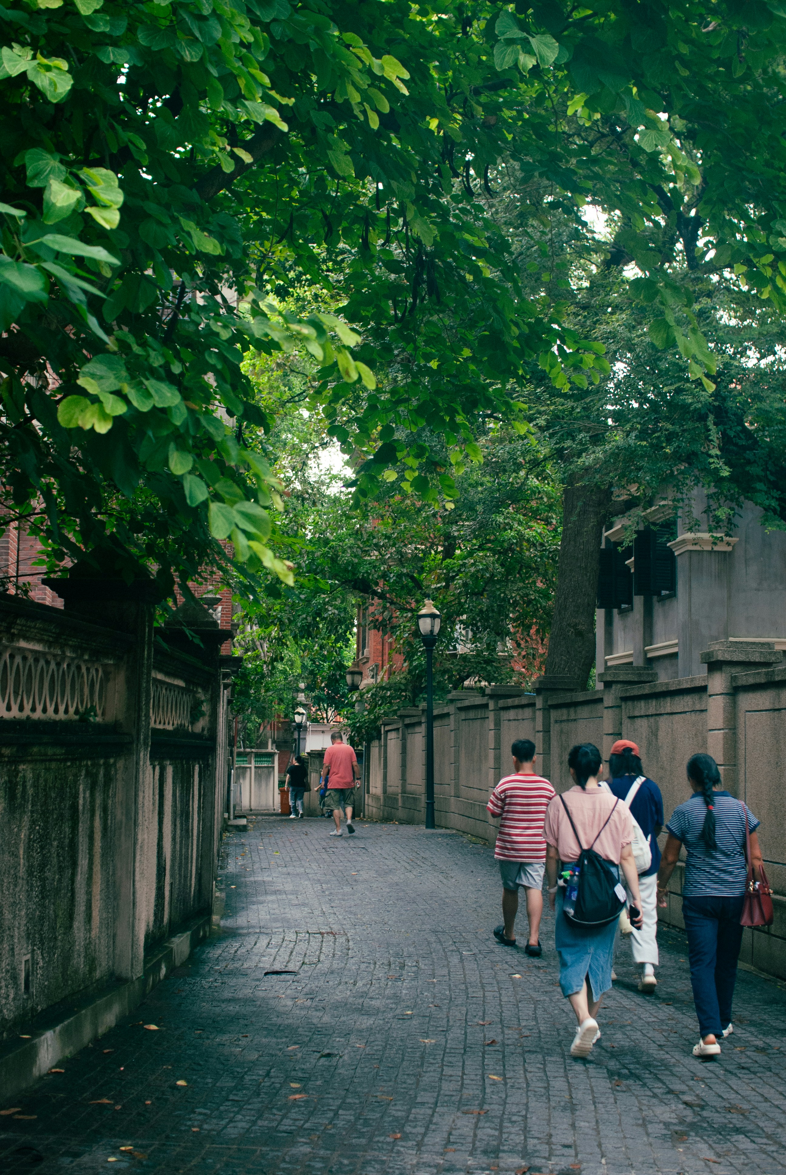 Crowded Pathway Under a Canopy of Green
