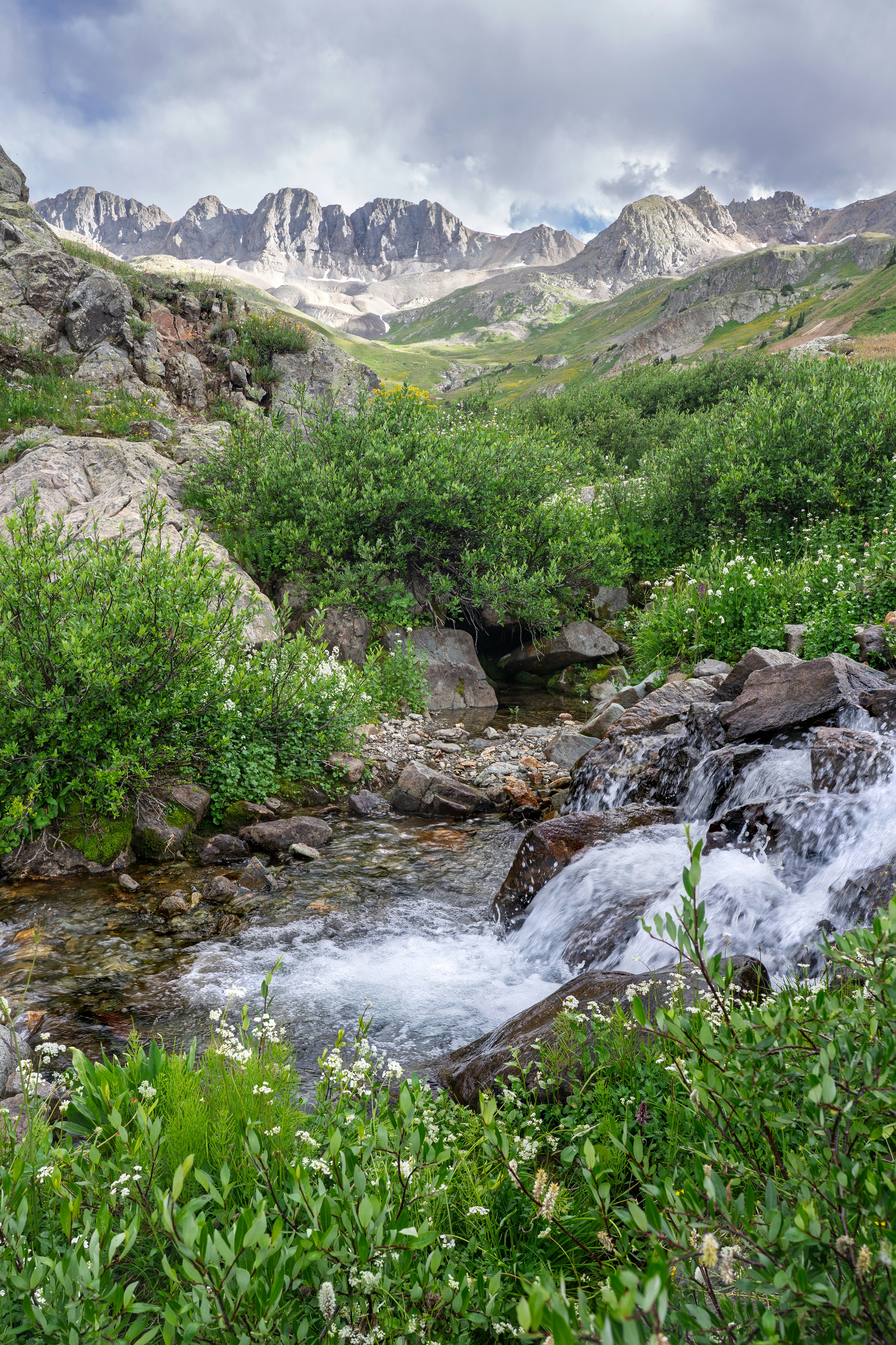 Mountain stream sanctuary: emerald shrubs and cascading water at alpine pass