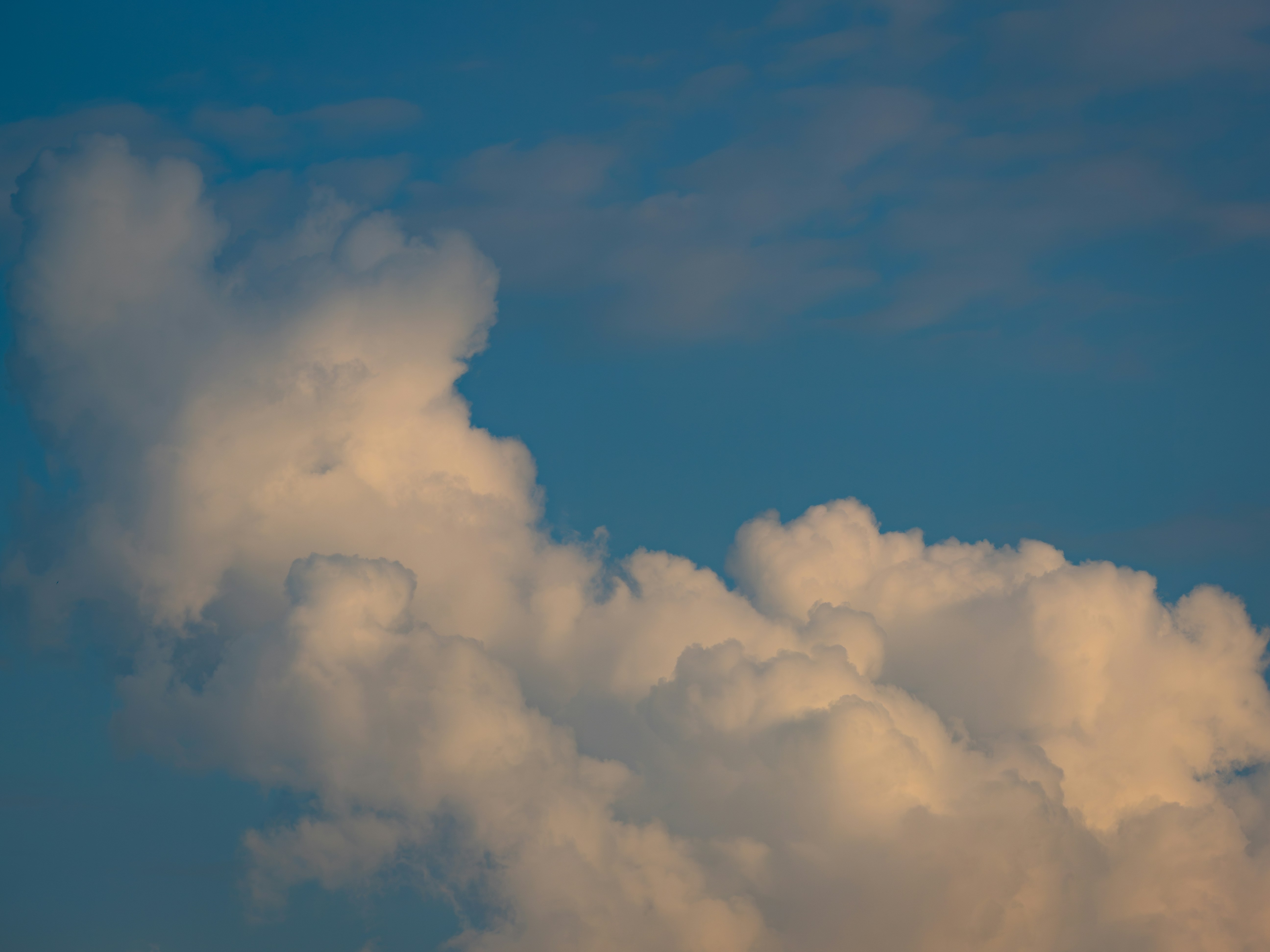 Sunlit Cloudscape: A Quiet Sea of Distant Puffs