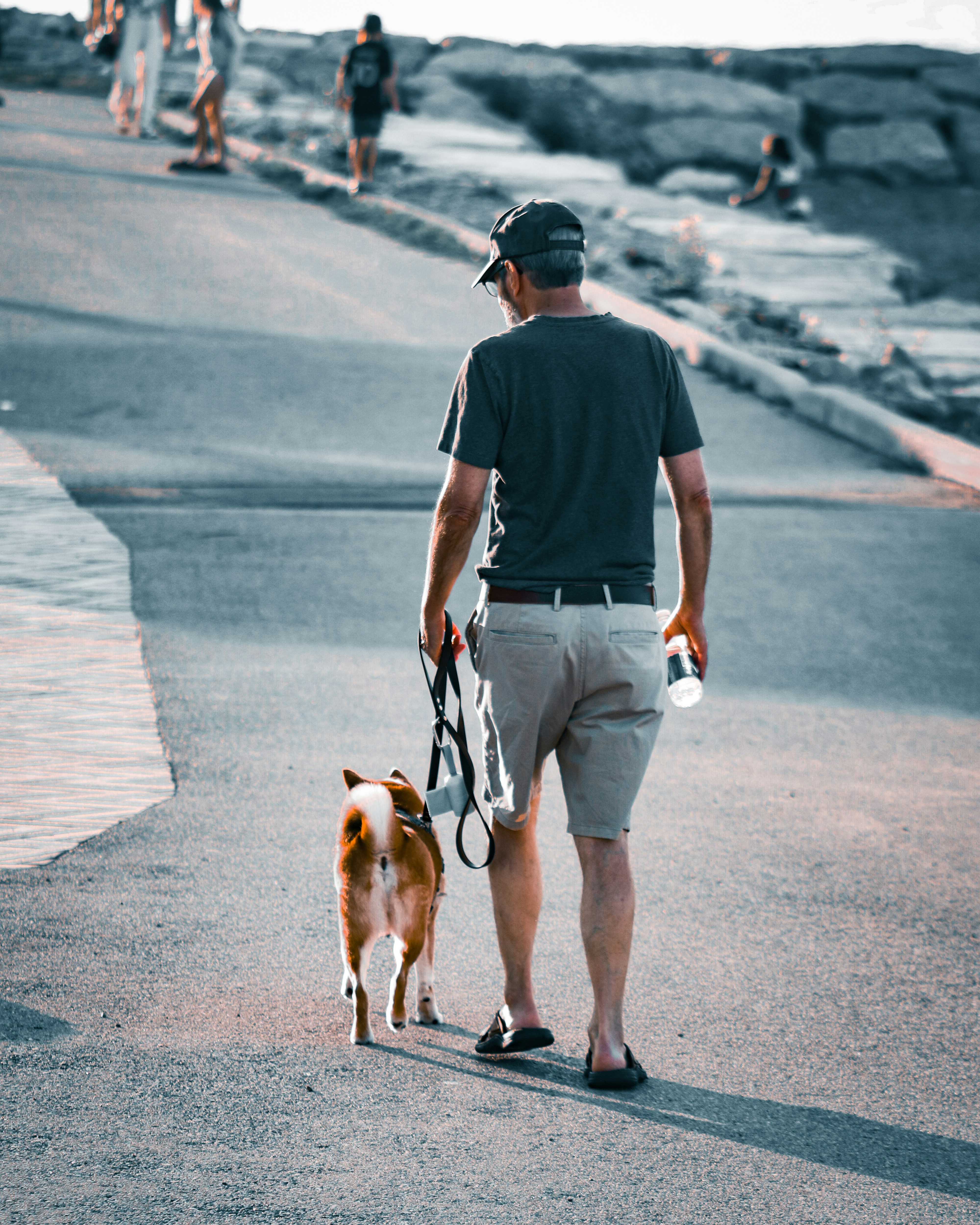 A Quiet Stroll: Man and Dog Return Home Along a Seaside Path