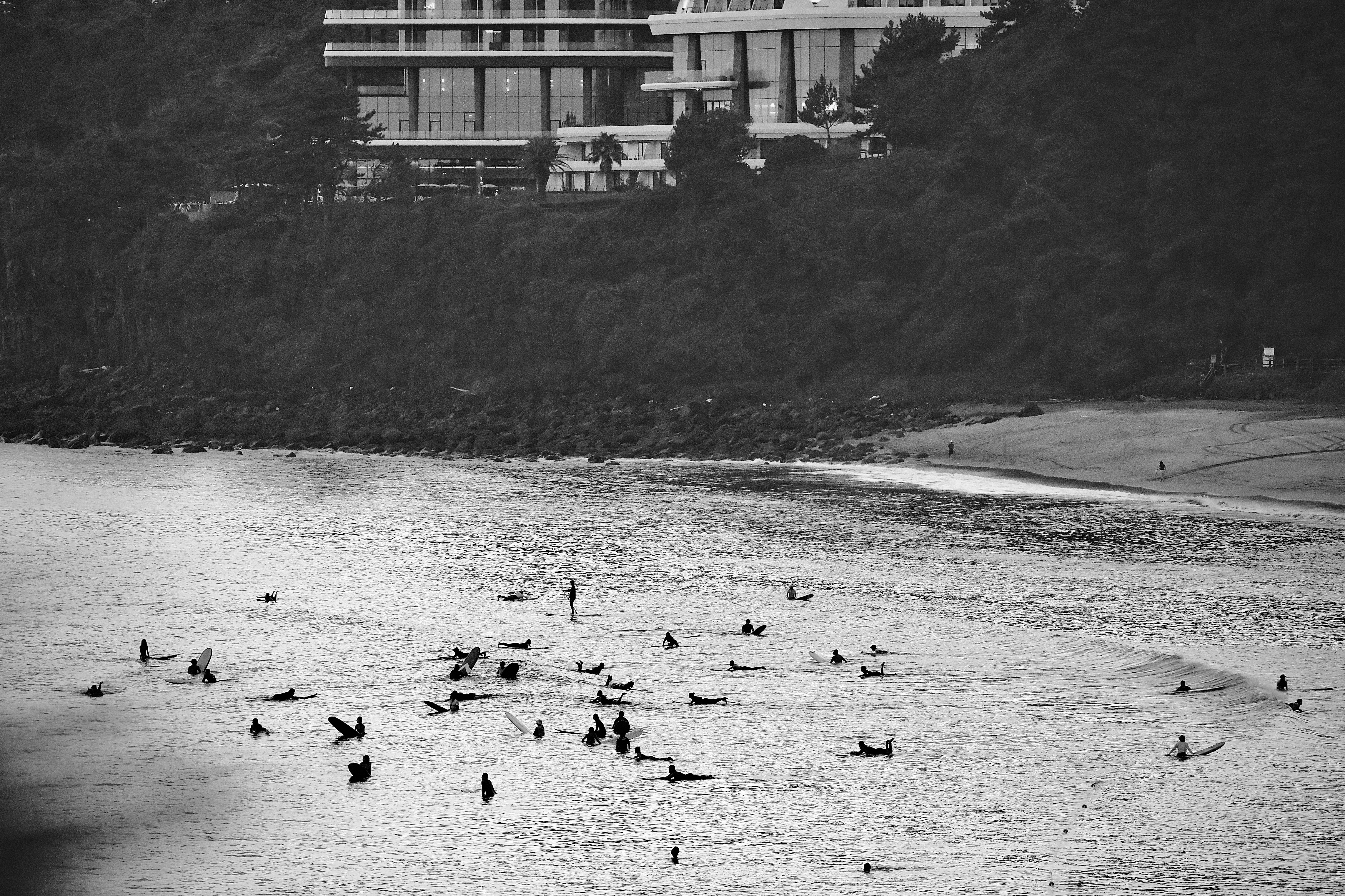 Surfers at Dusk: Silhouettes Piercing a Quiet Bay