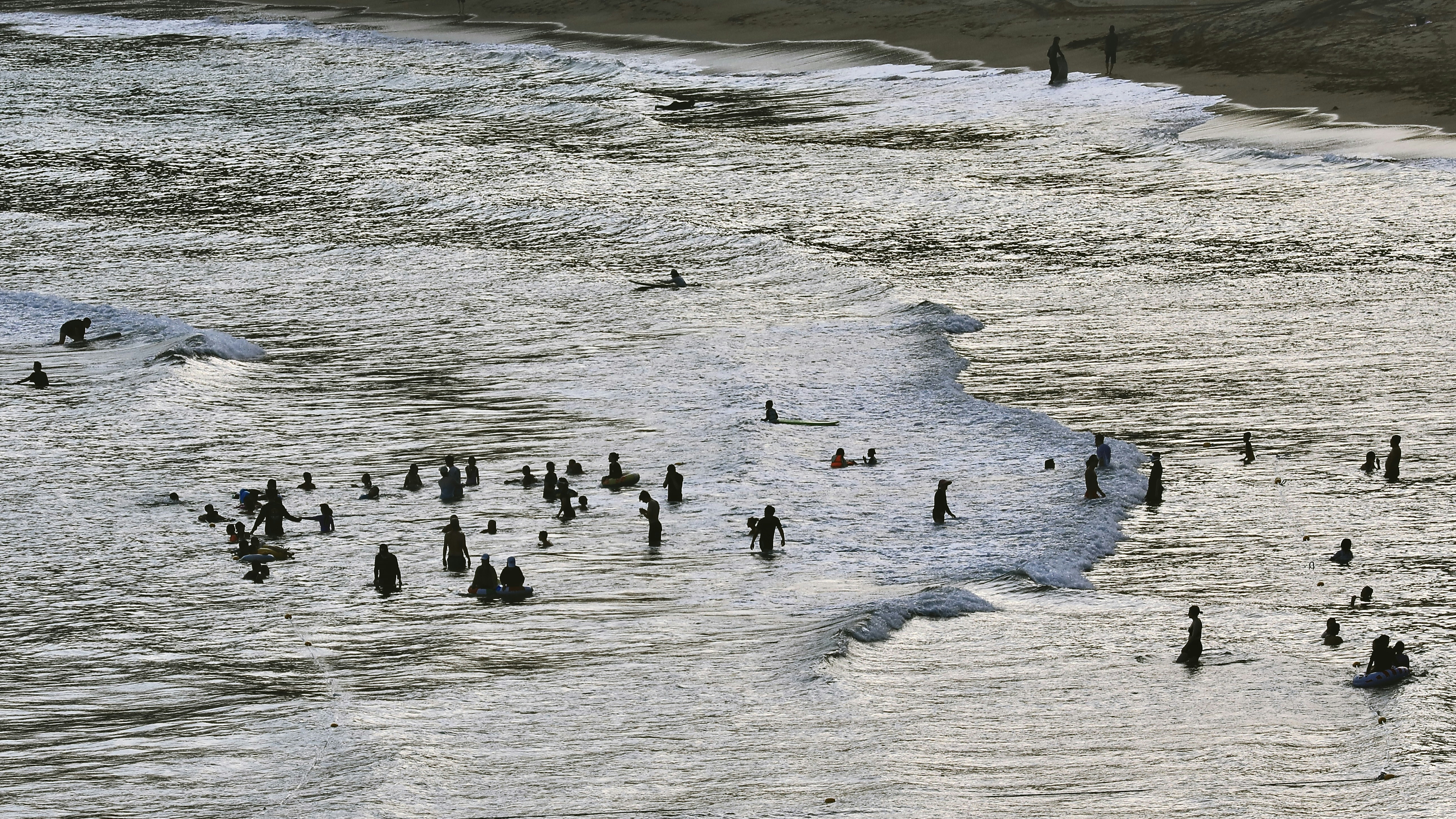 Palpable Drift: Crowds Ripple the Tidal Edge