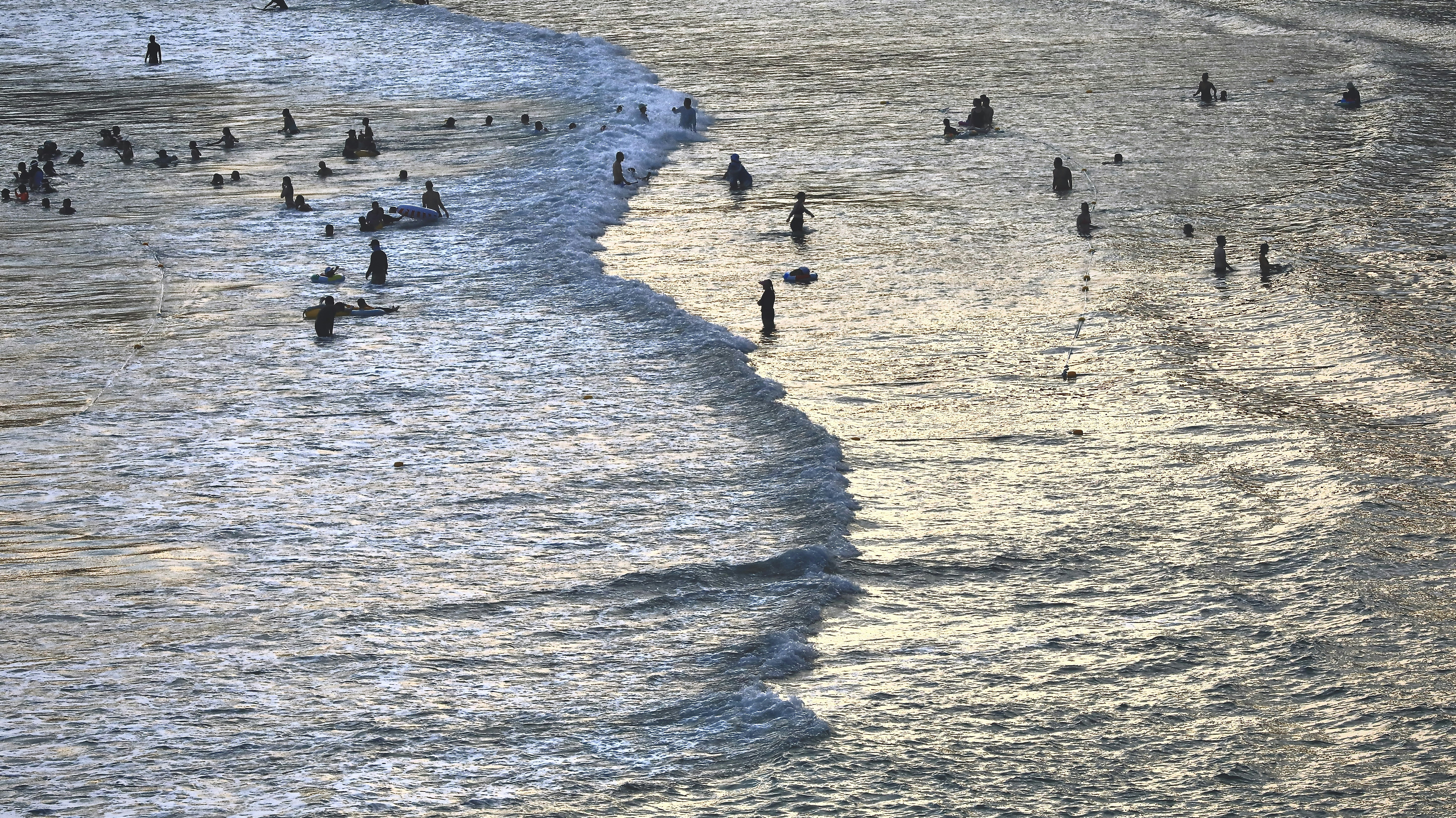 Coastal Tides: A Gentle Branch of Silhouette and Light