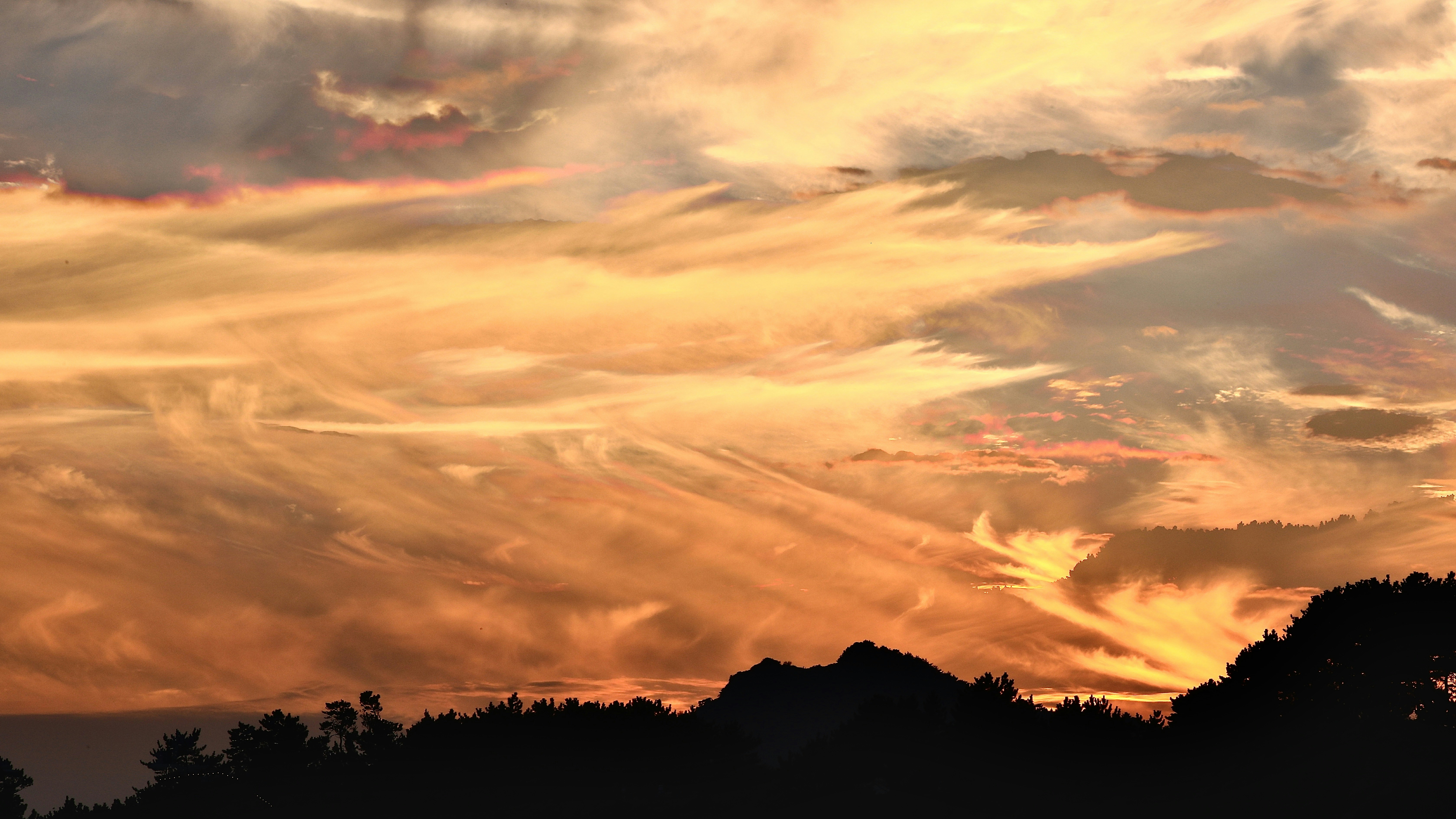 Edge of Dawn: Silhouetted Trees Against a Fiery Sky