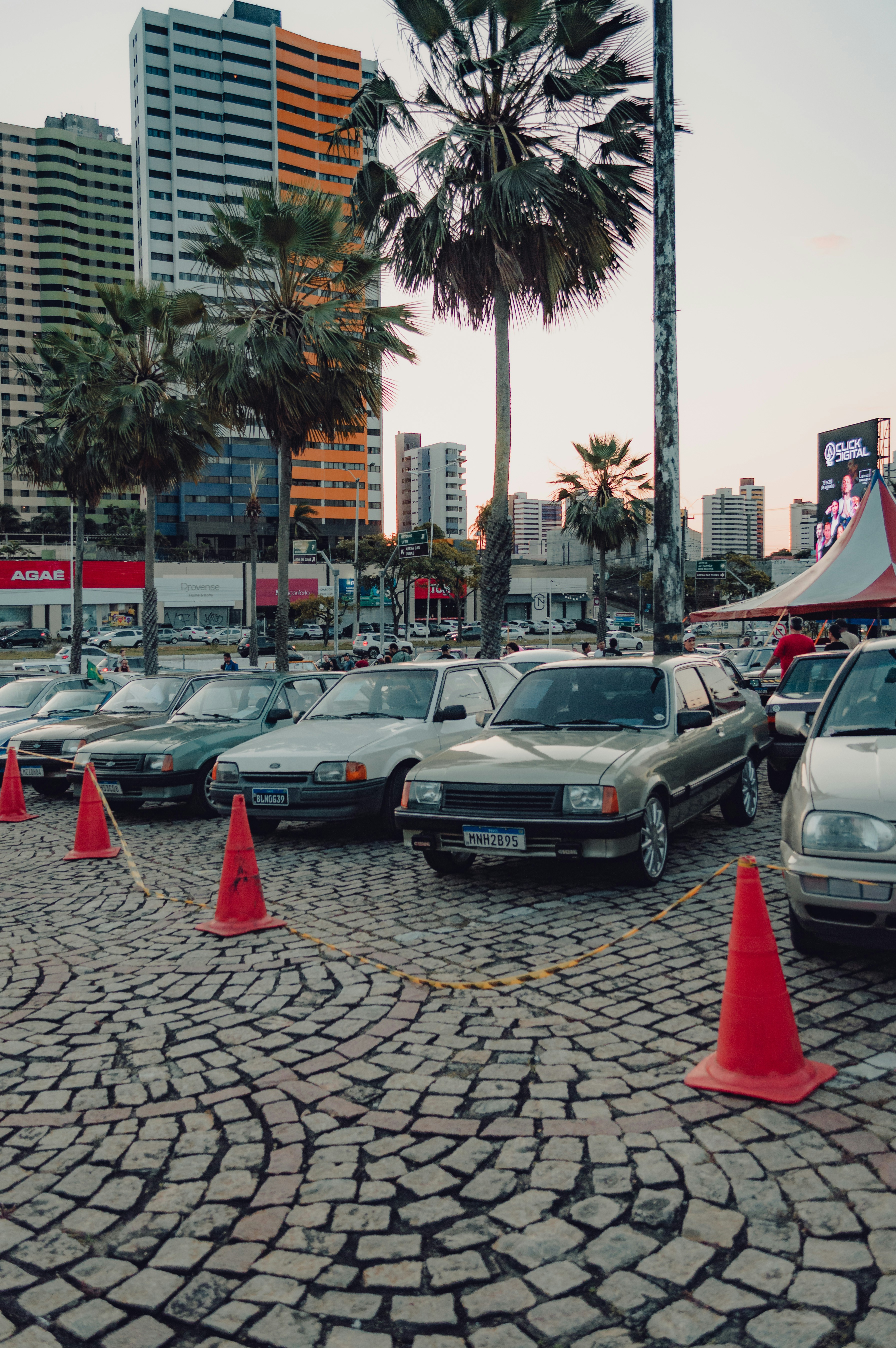 Palm-Tree Promenade Over a Cobbled Car Park