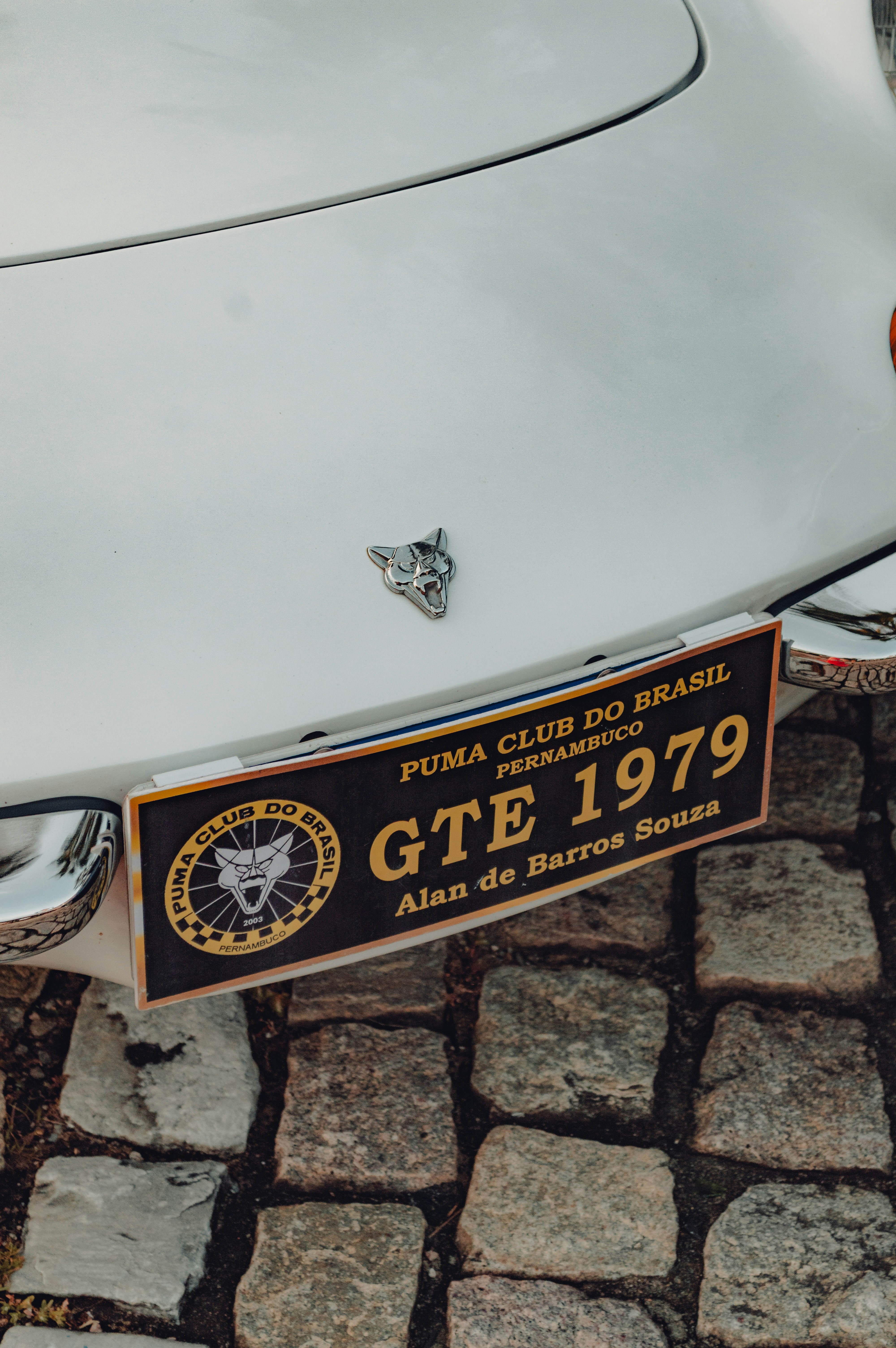 Chrome Emblem and Classic Plate on Light Coupe