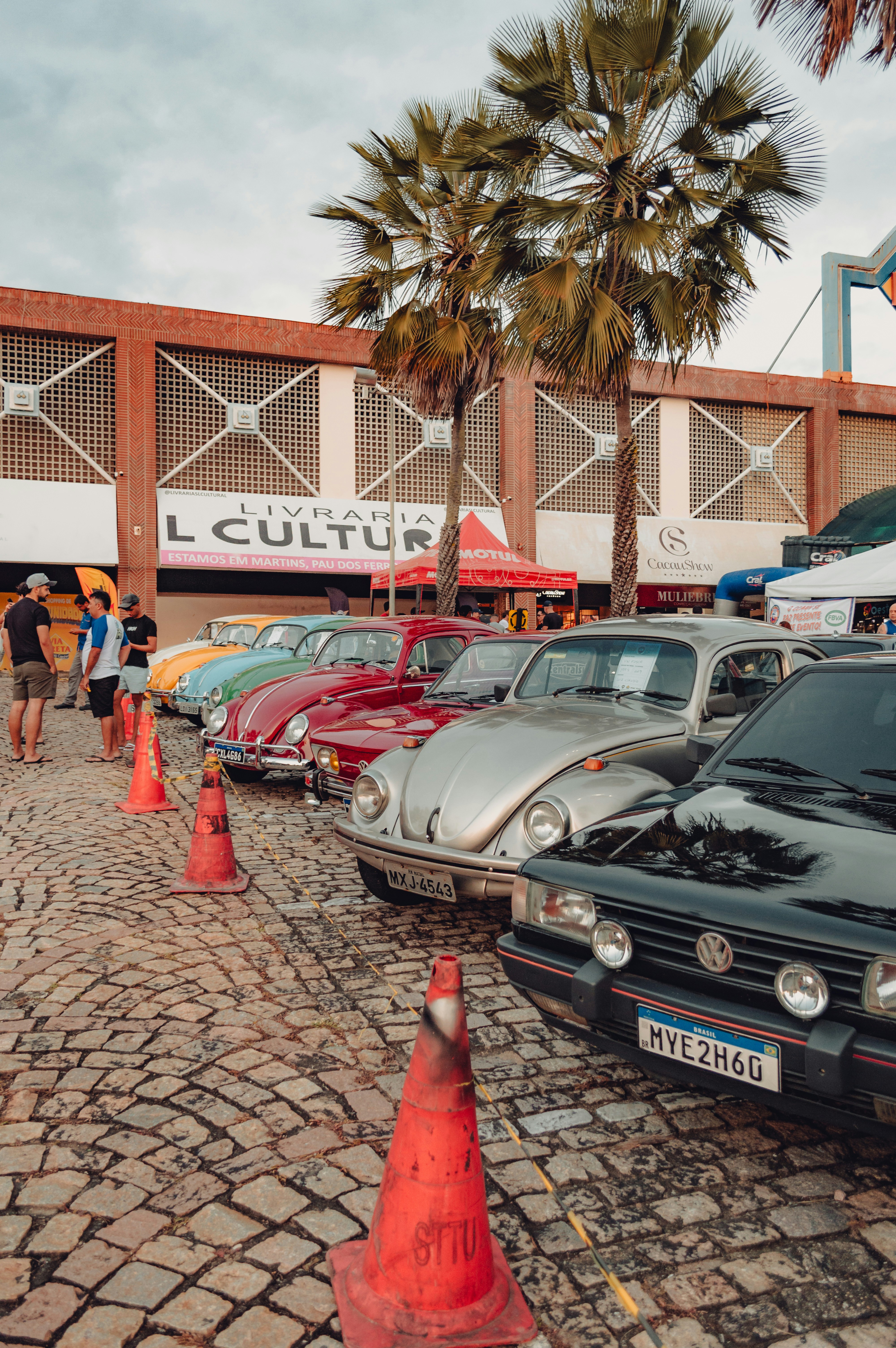 Palm Shadows over a Classic Car Row at the Market