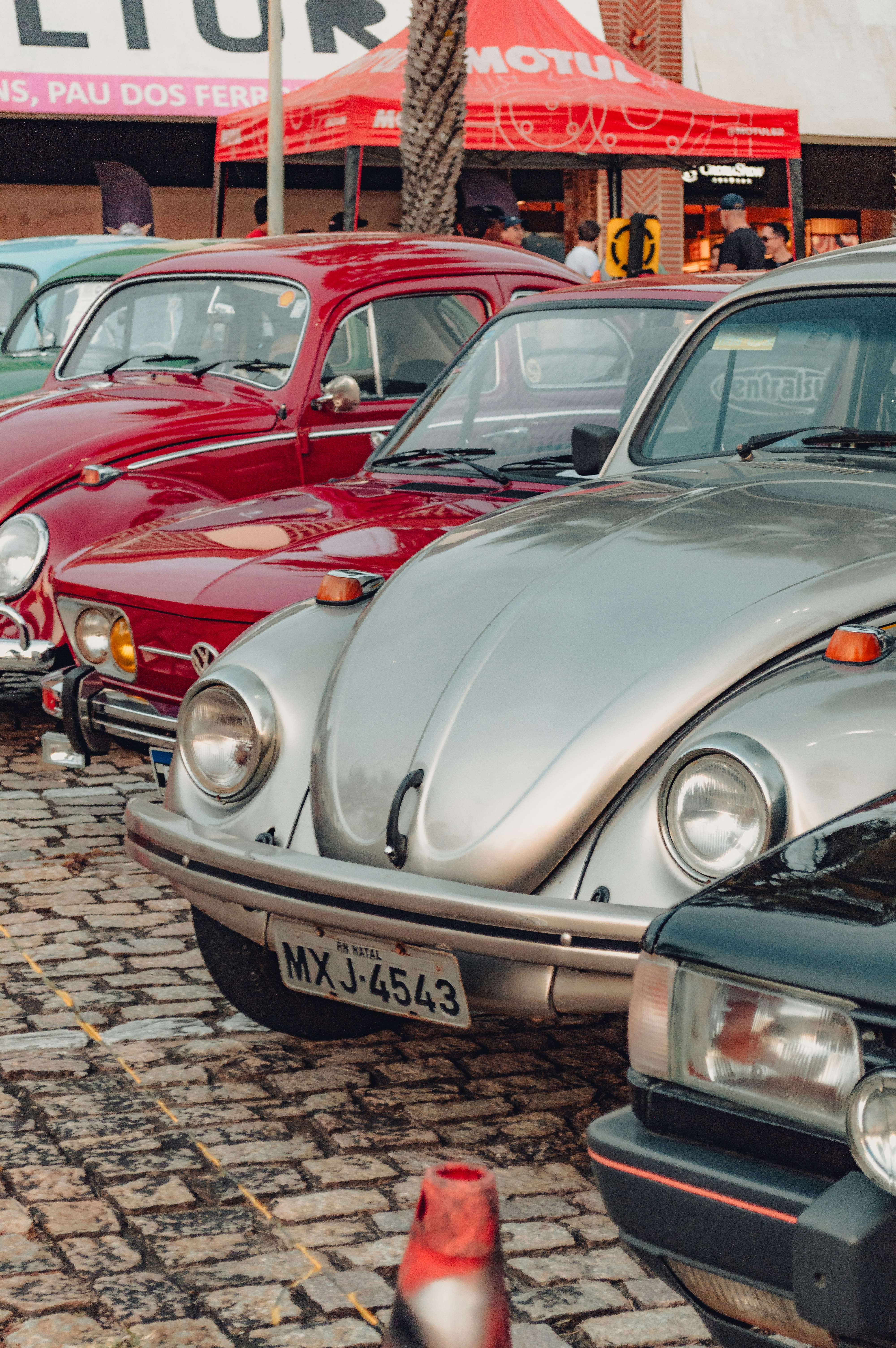Chrome and Cobblestones: A Row of Classic Beetles at the Car Show