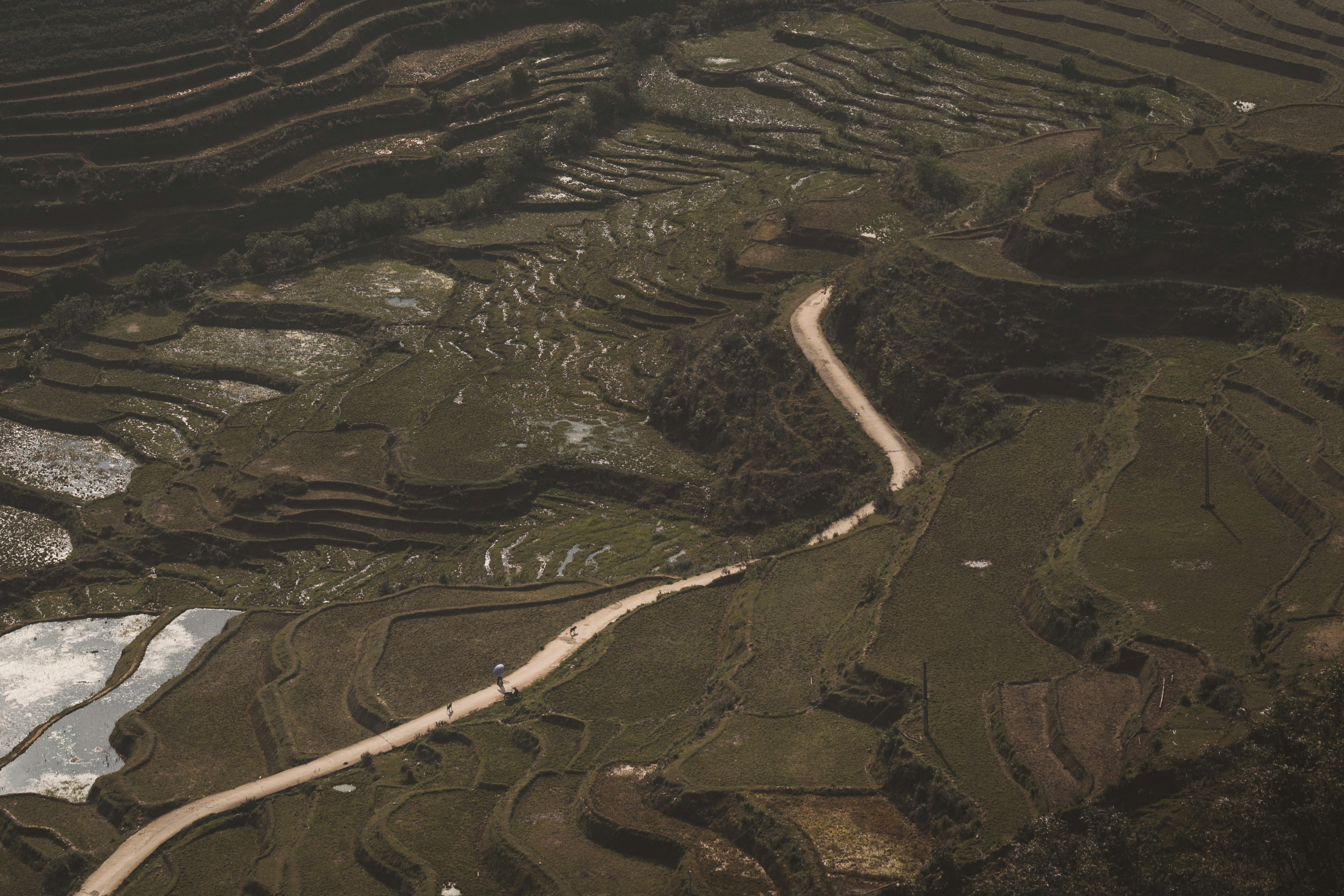 Terraced Hillside Road Carves Through Earthen Ridges