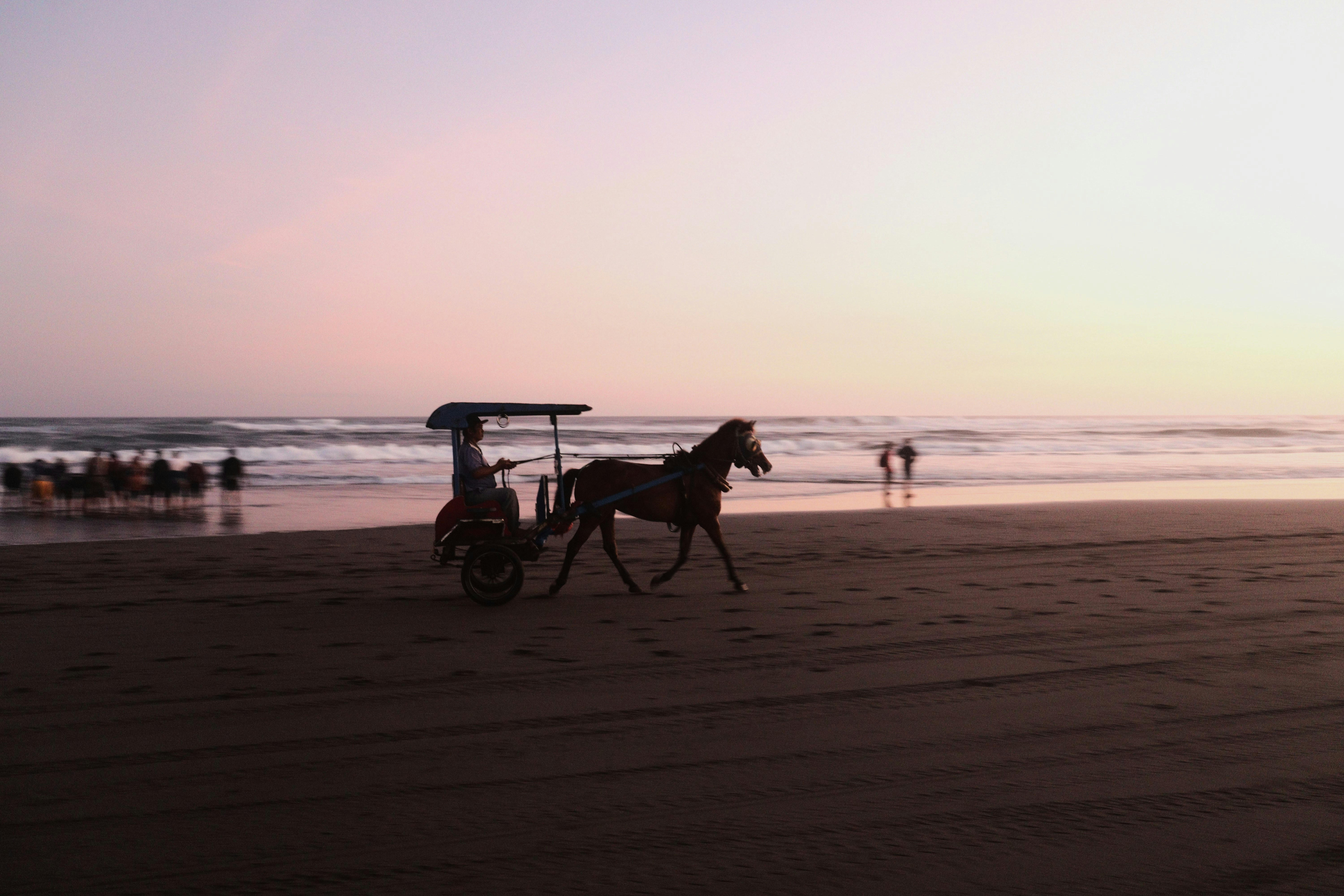 Dusk on the Dune: Cart and Horse Against the Quiet Sea